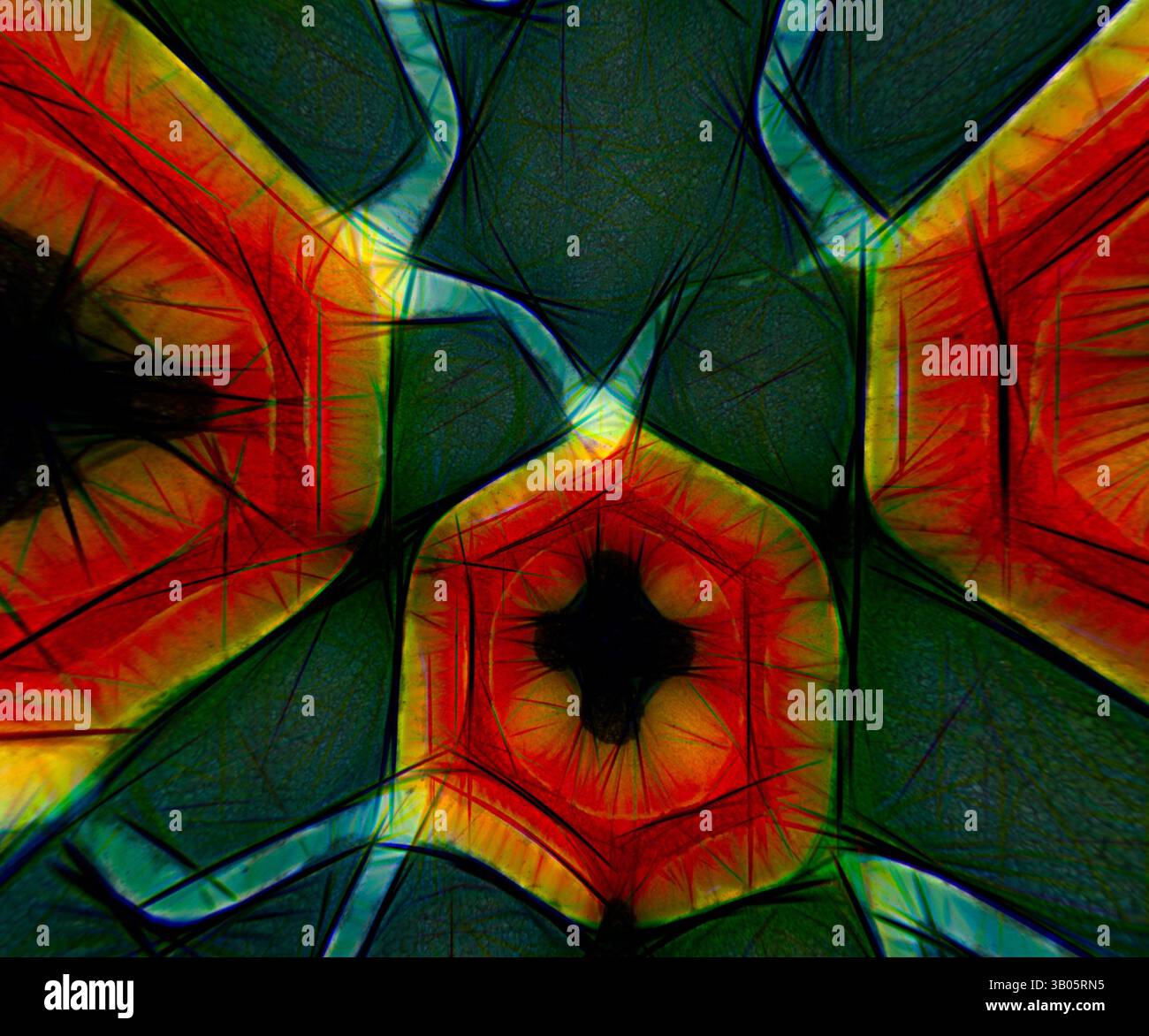 A vibrant kaleidoscope of intricate patterns, featuring hexagonal ...