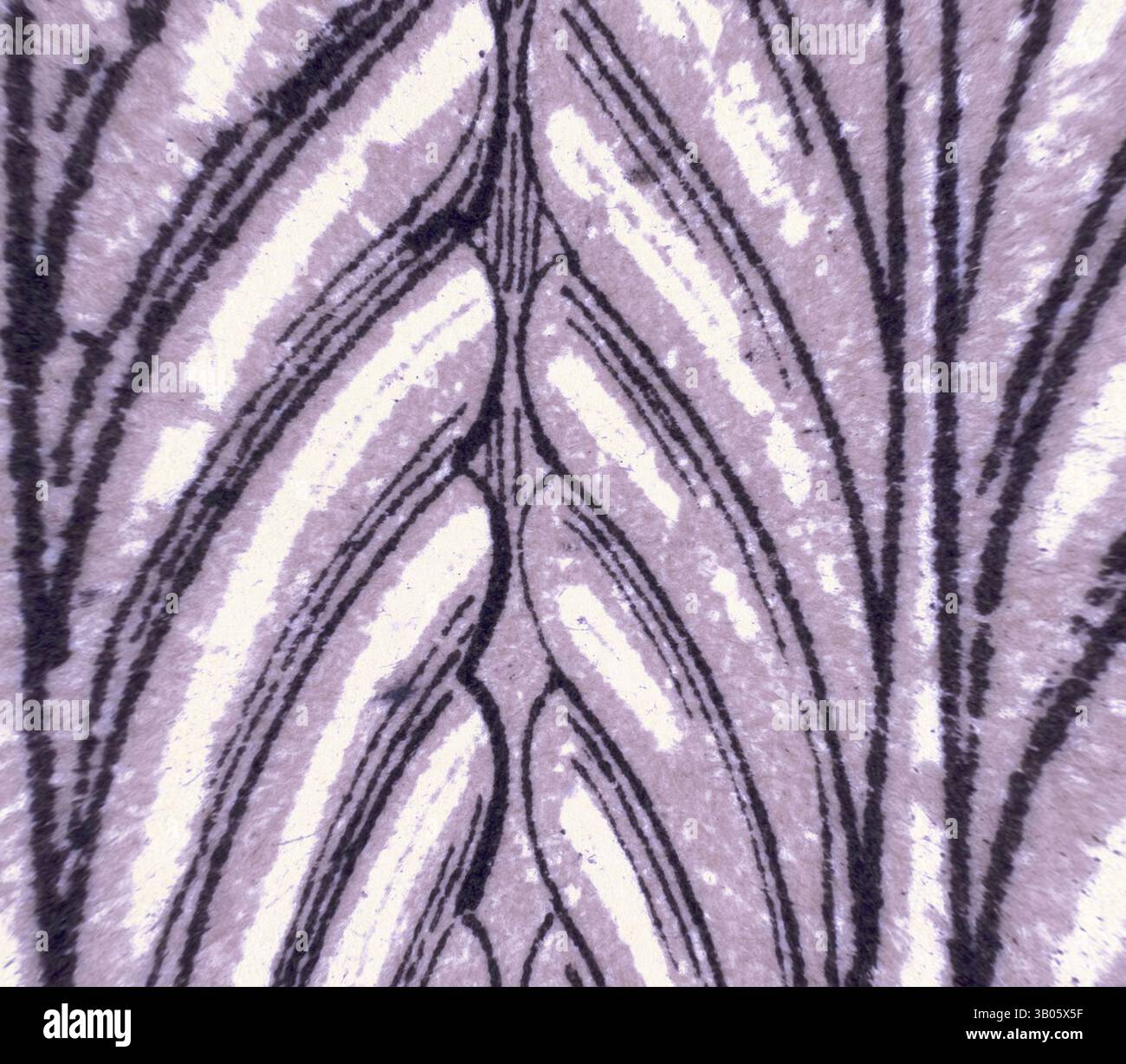 An intricate pattern featuring elongated, flowing lines that create a ...