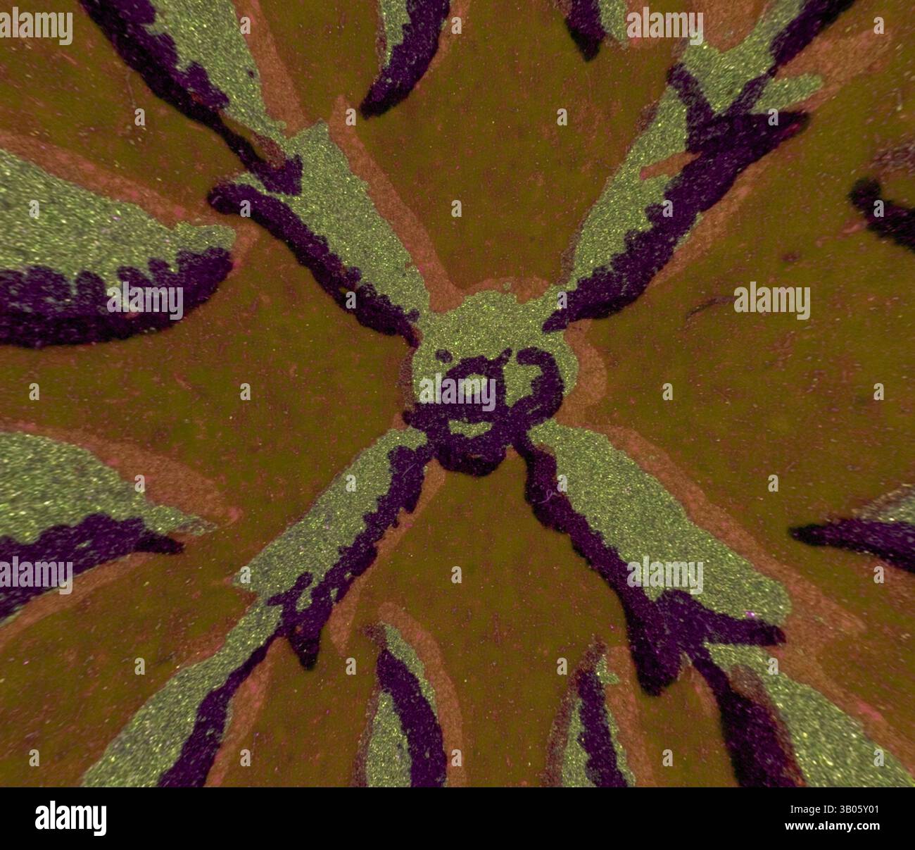 A vibrant depiction of a stylized floral design, featuring intricate ...