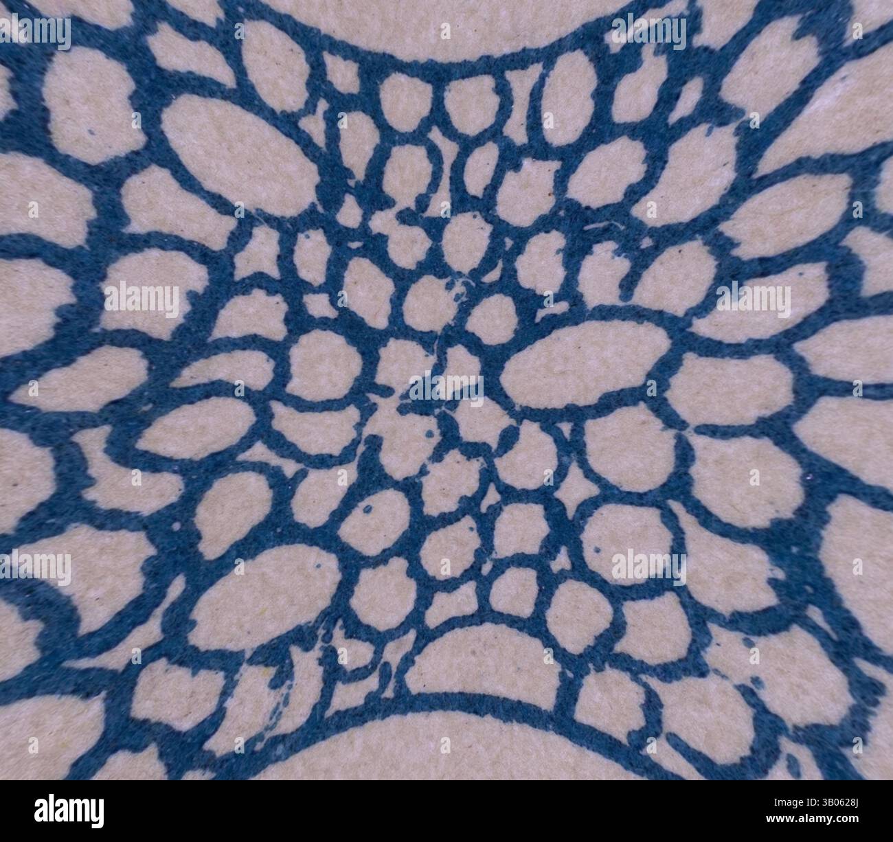 An intricate pattern of interconnected shapes, resembling a network of ...