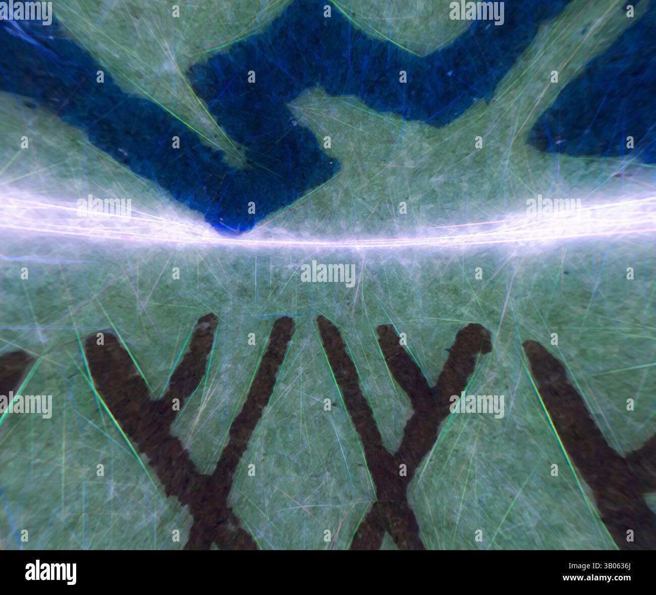 Featuring vivid blue markings contrasted hi-res stock photography and ...