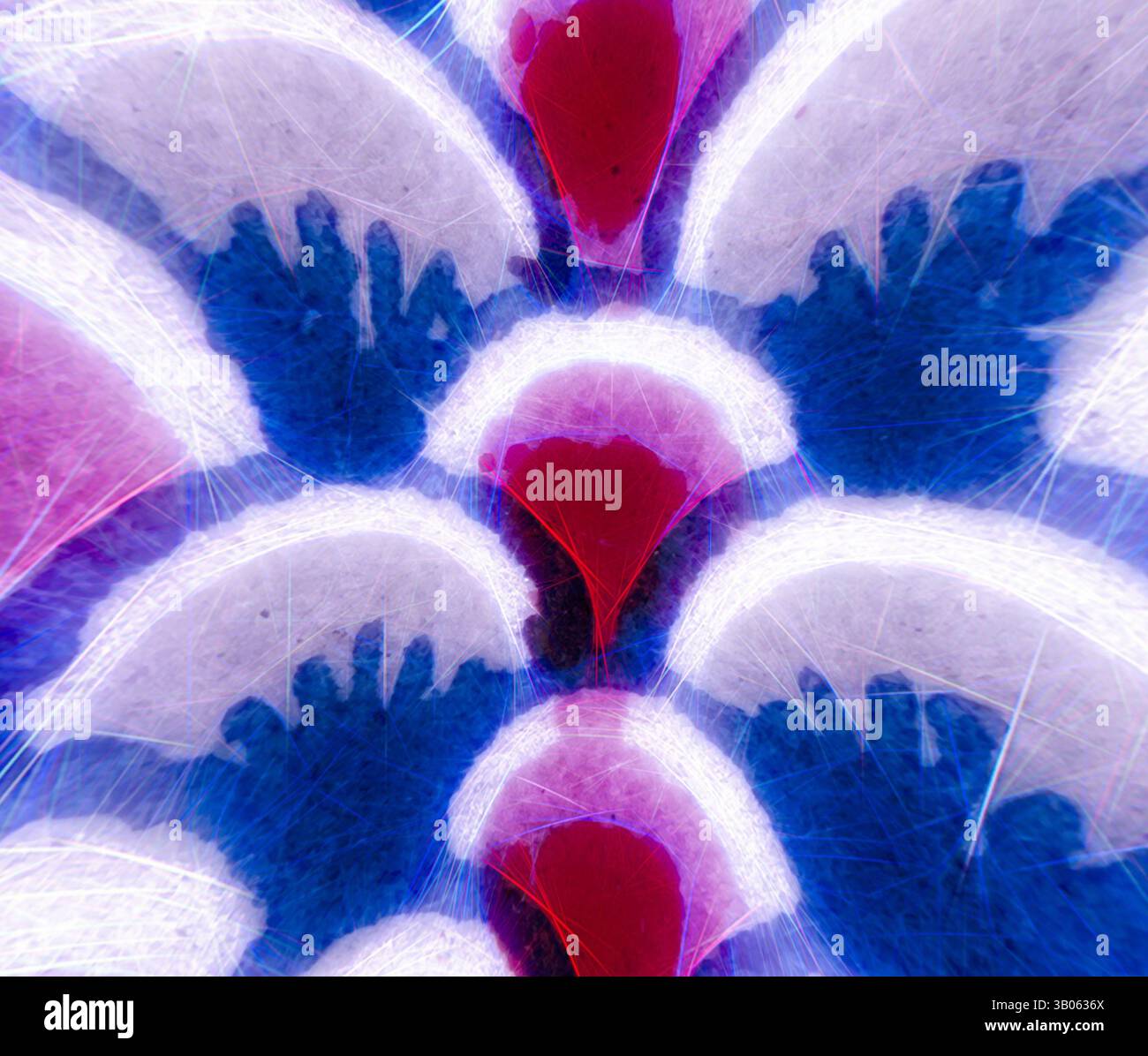 A vibrant pattern displays intricate details with swirling shapes in ...