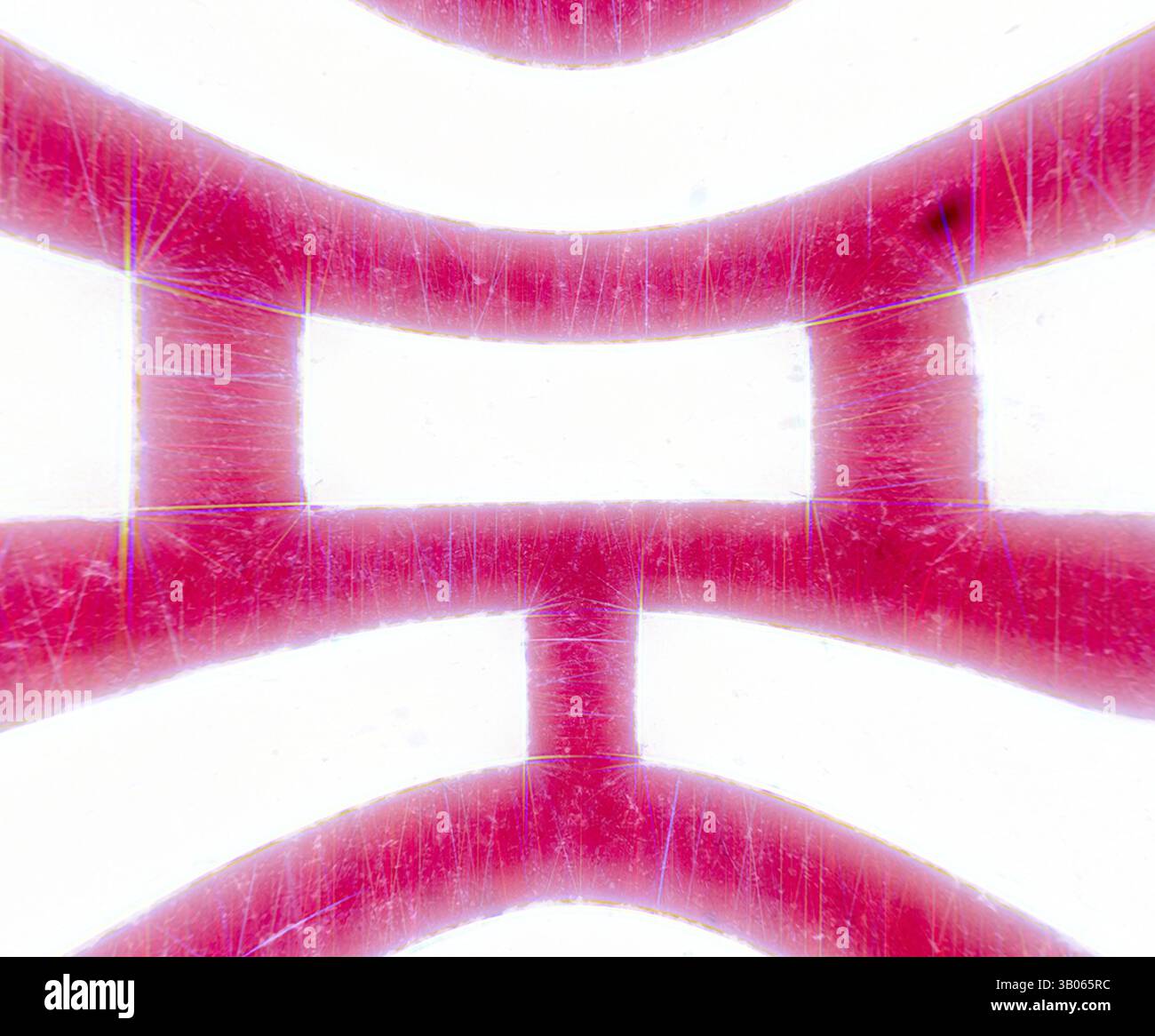 An intricate pattern of interconnected lines and curves, layered with ...