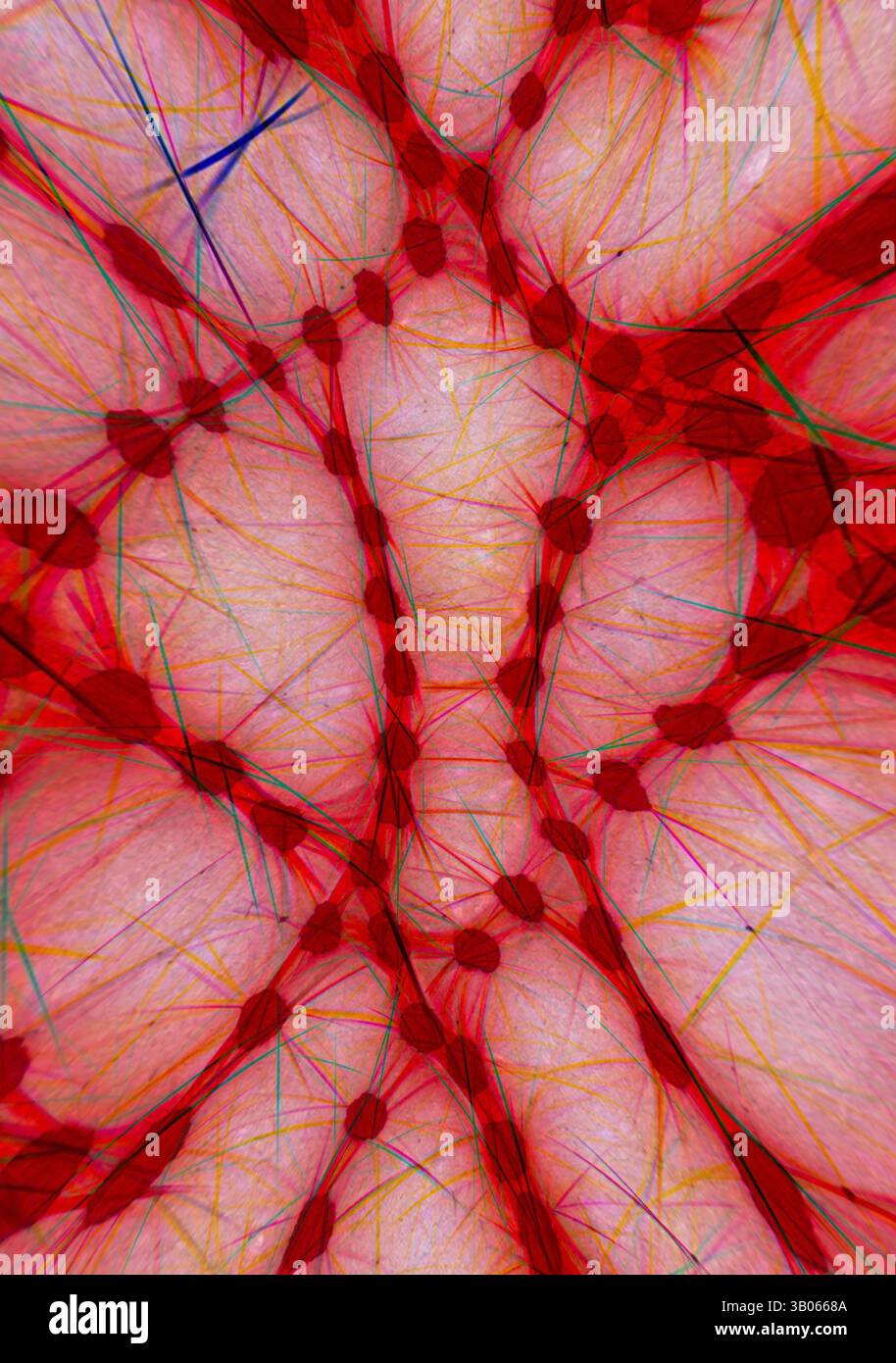 An abstract representation featuring intertwining strands of vivid ...