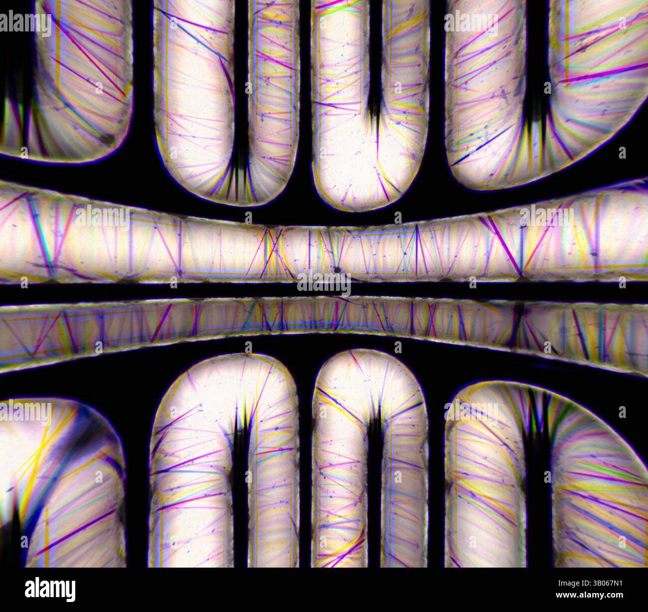 An intricate pattern of elongated shapes displaying vibrant lines and ...