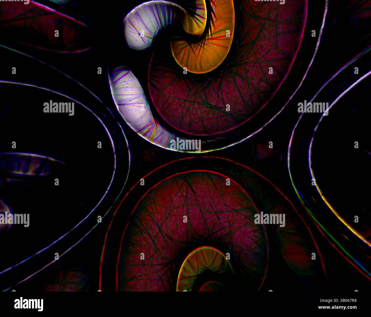 Abstract arrangement of spiraled shapes hi-res stock photography and ...
