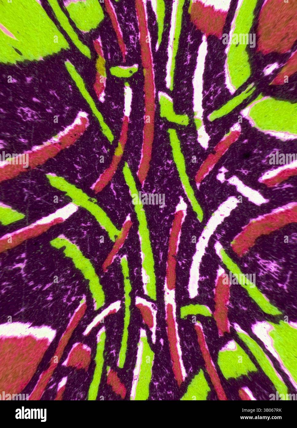 A vibrant abstract design features intertwining lines and shapes in bold shades of green, purple ...