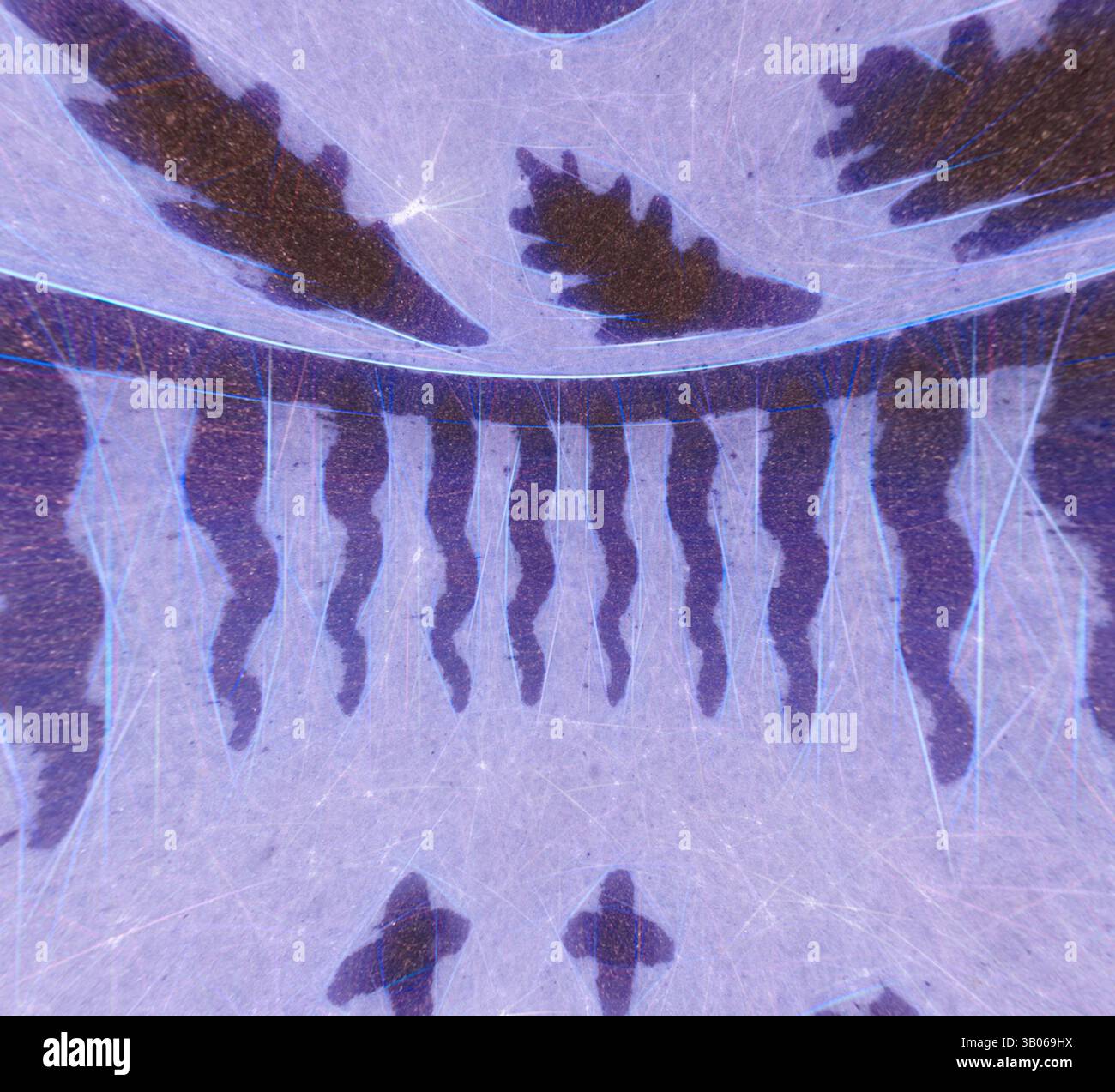 An intricate pattern featuring elongated leaves and wavy lines ...