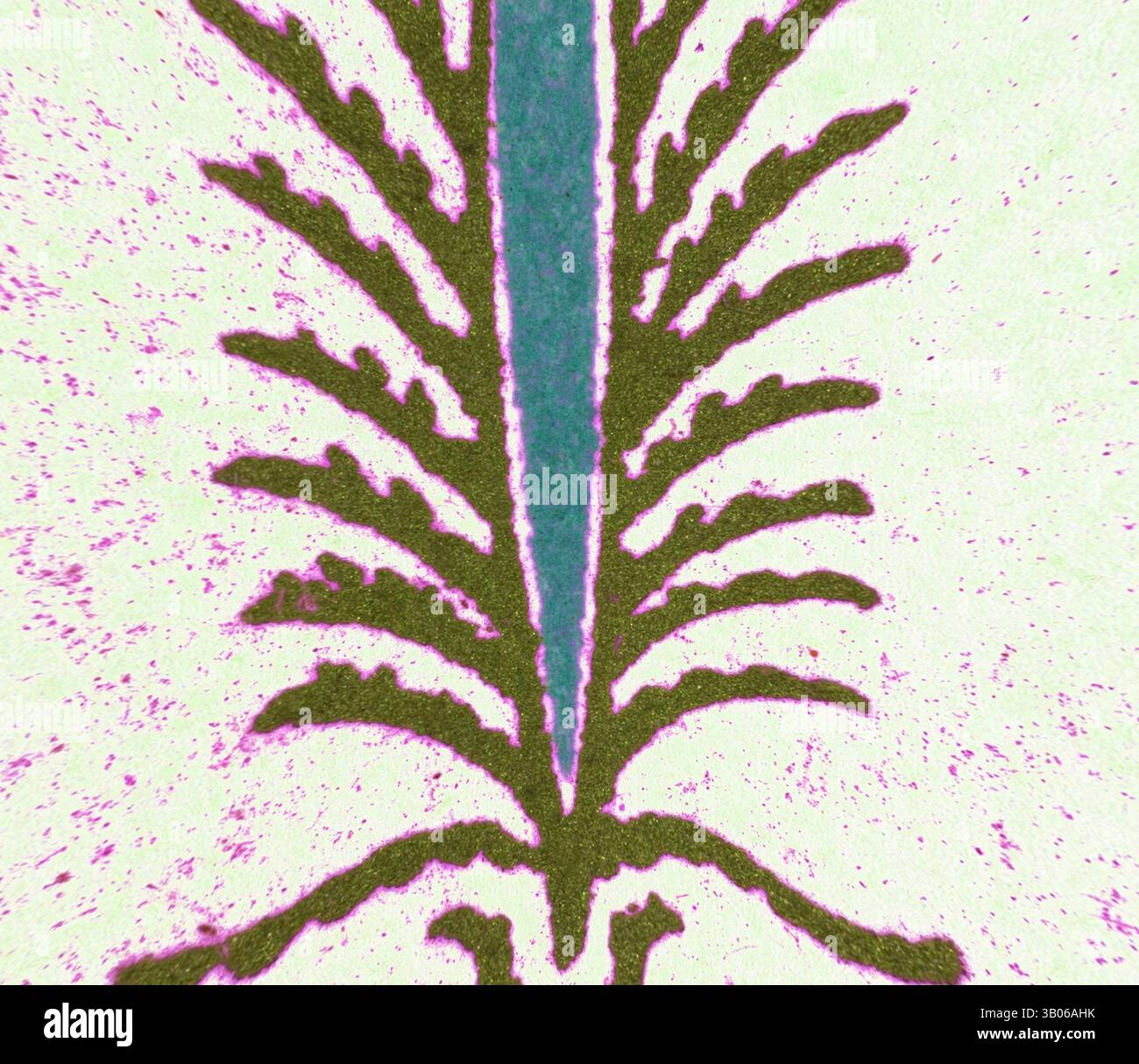 Central vertical line flanked hi-res stock photography and images - Alamy