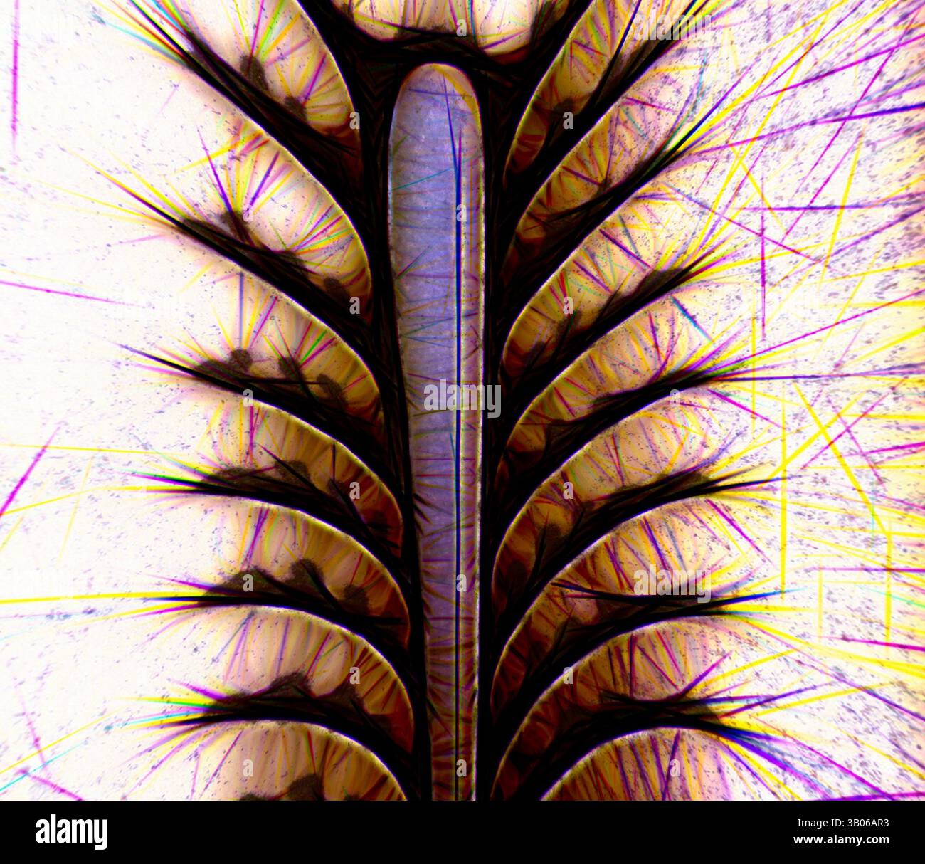 Featuring elongated lines hi-res stock photography and images - Alamy