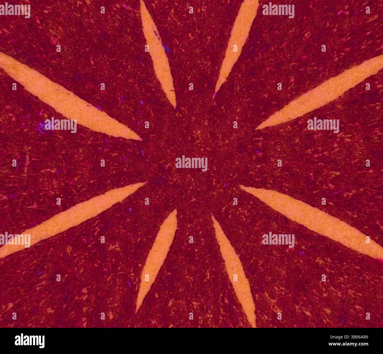 Starburst effect animation flower design hi-res stock photography and ...