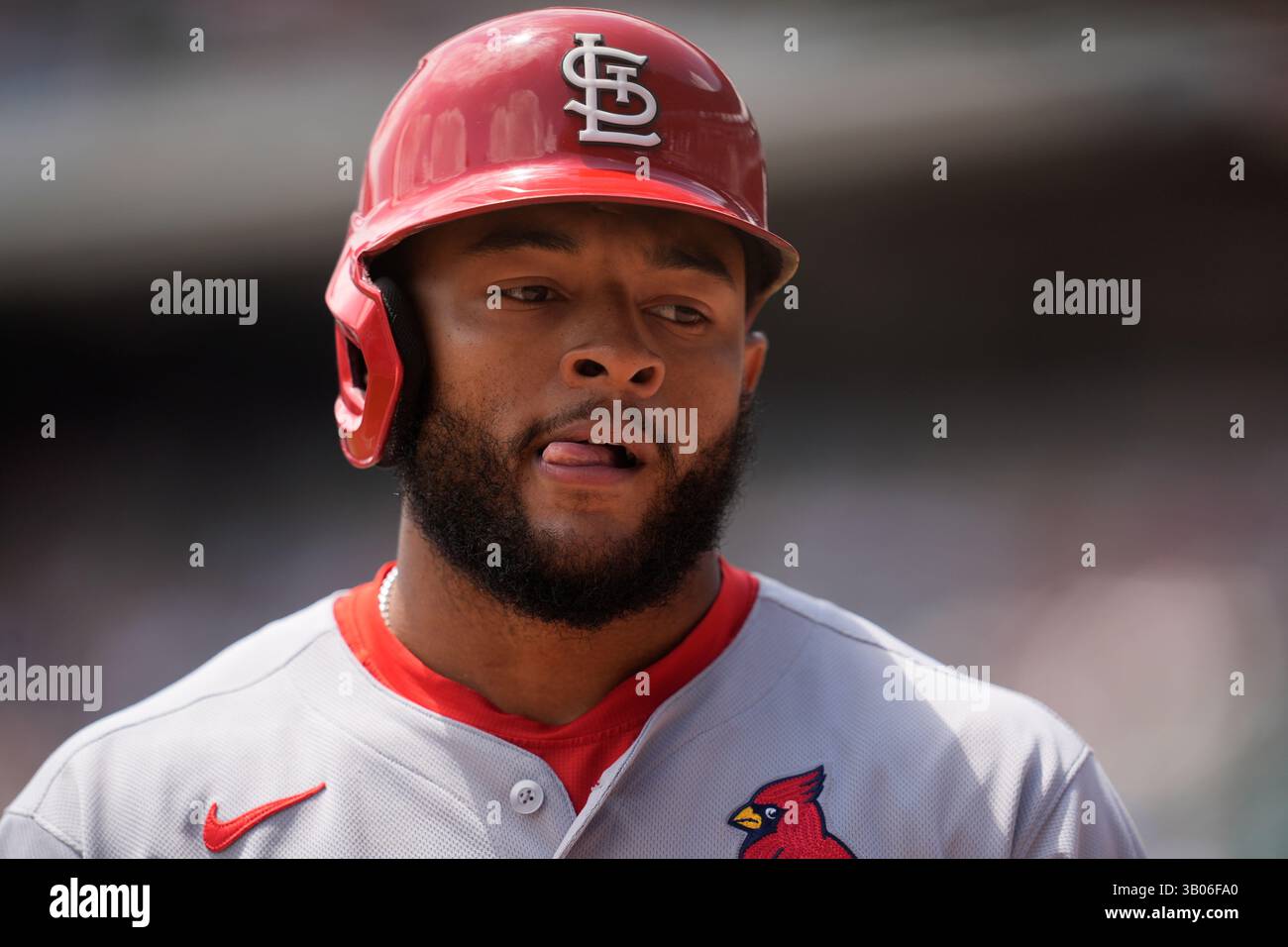 St. Louis Cardinals outfielder Victor Scott II (11) comes into the ...