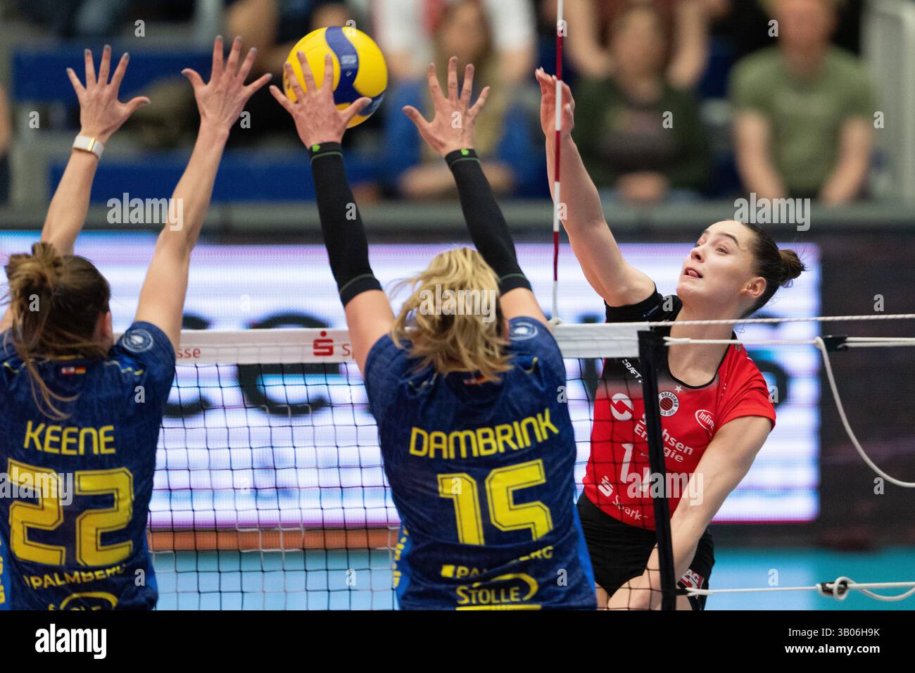 Dresden, Germany. 23rd Apr, 2025. Volleyball, Women: Bundesliga ...