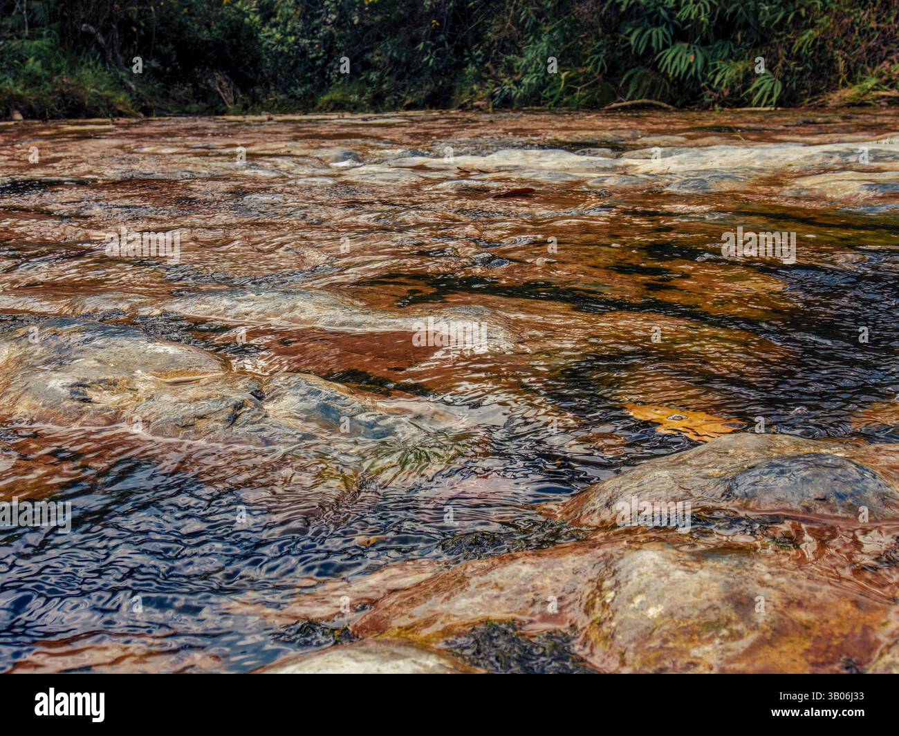 View of shallow crystal water running over a stone stream bed, in a ...