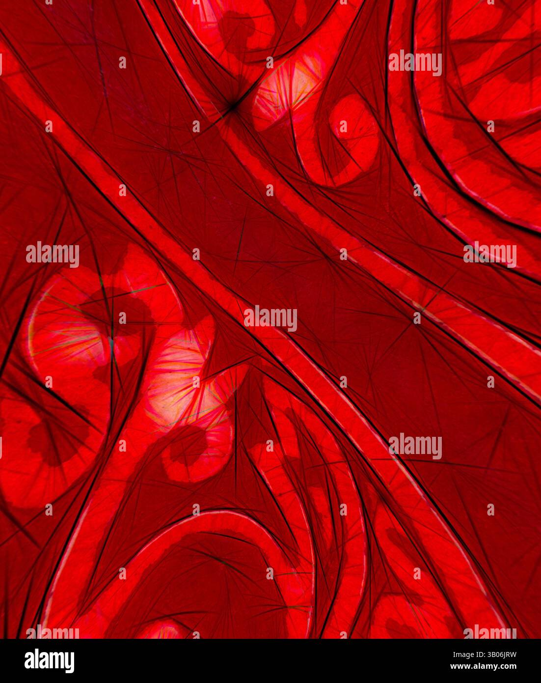 A vivid display of flowing patterns in rich red hues, intertwined with ...