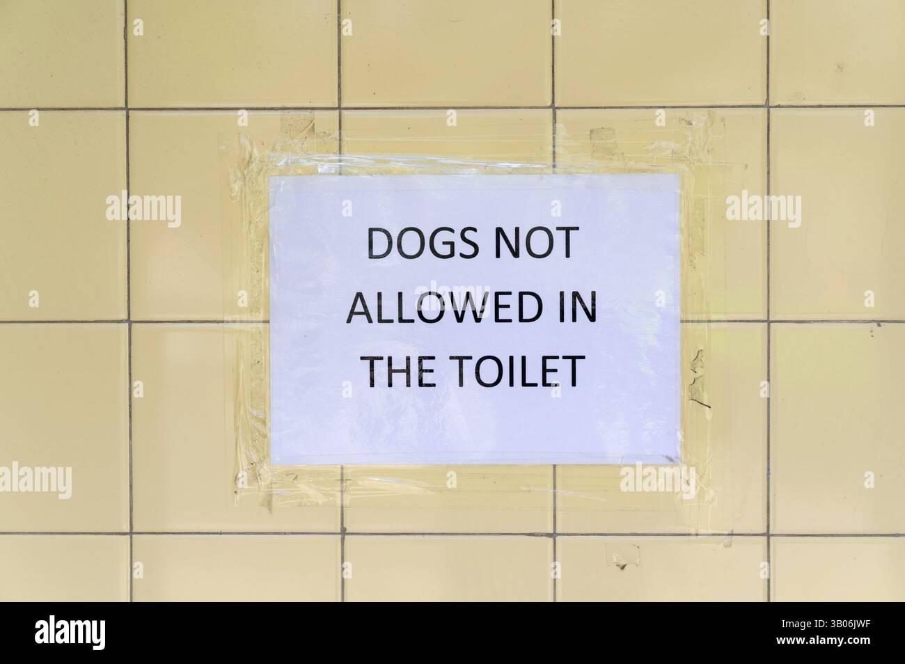 Dogs Not Allowed sign in a public toilet, Botanic Gardens, Glasgow ...