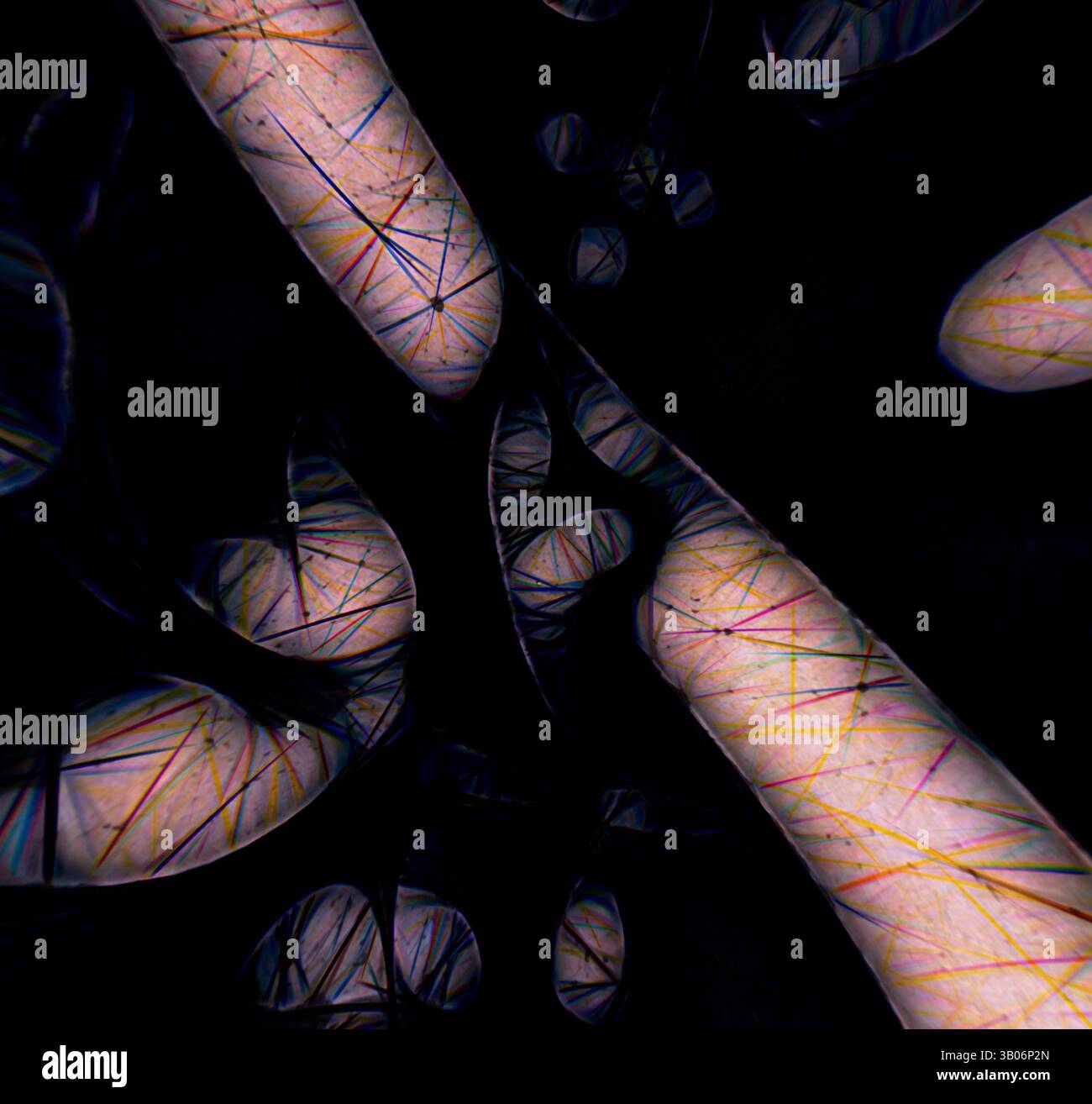 Intricate lines and shapes converge in a mysterious, abstract ...