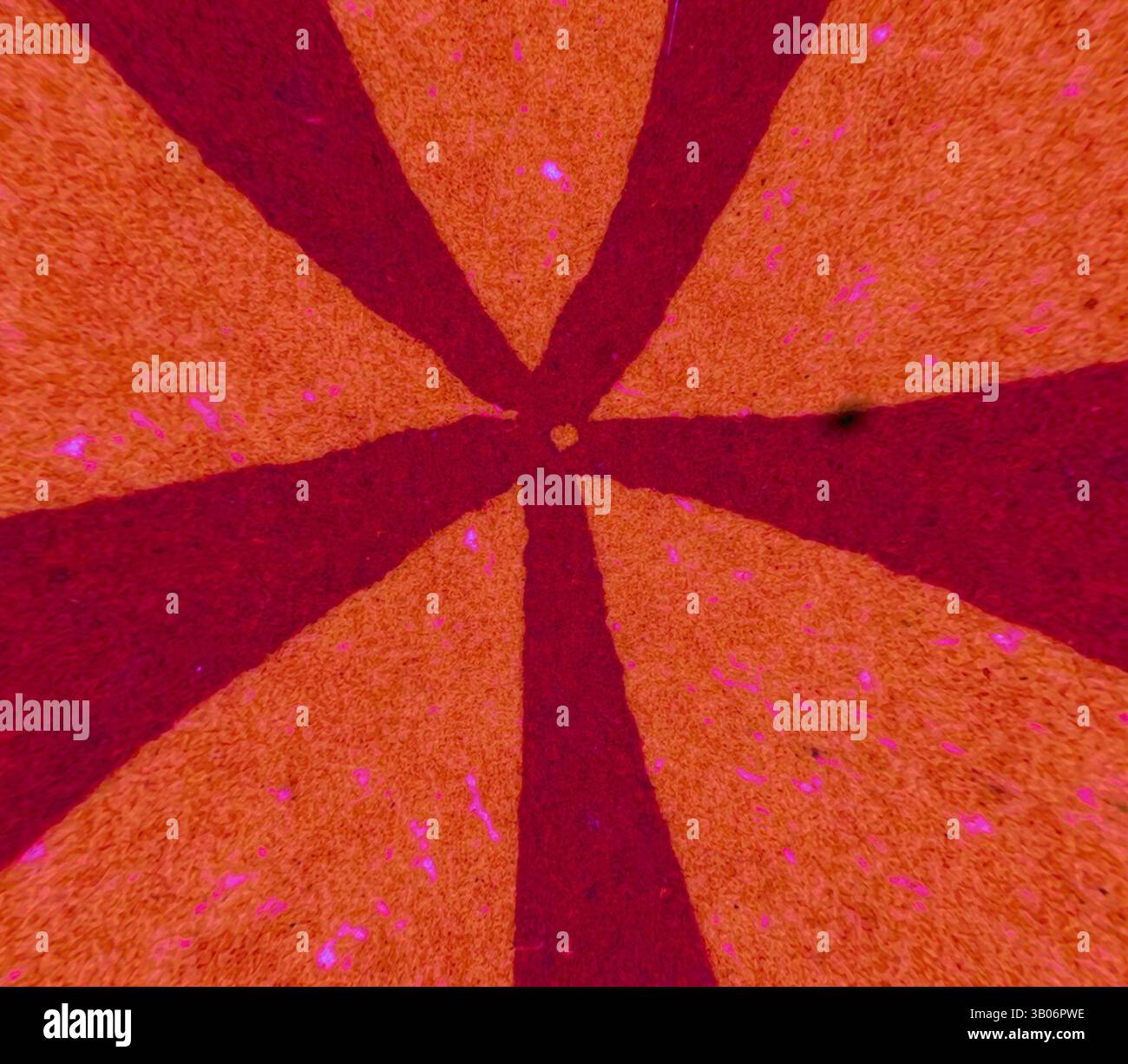 A vibrant, abstract design featuring bold orange and deep red segments ...