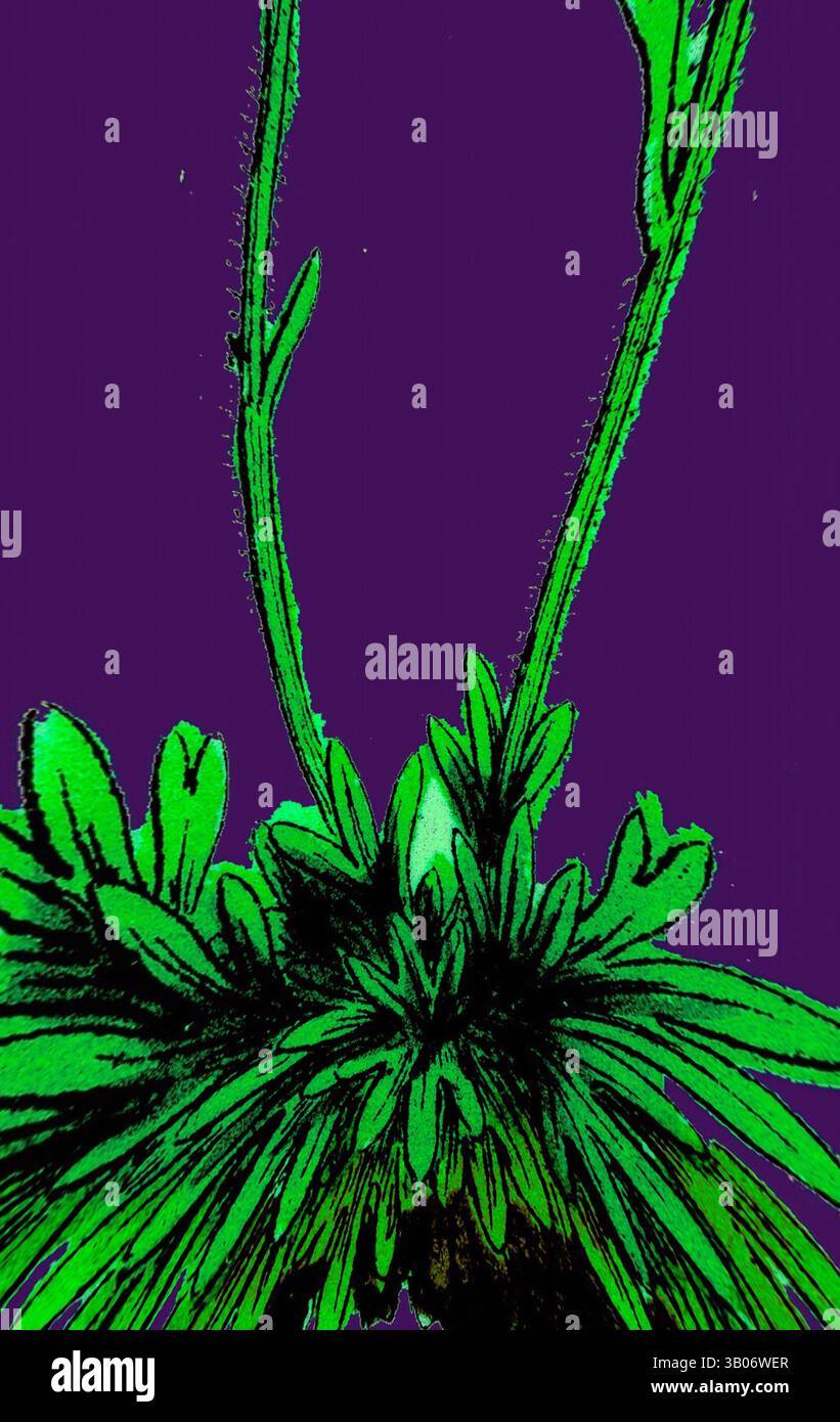 A vibrant depiction of plant life, featuring elongated stems and lush ...