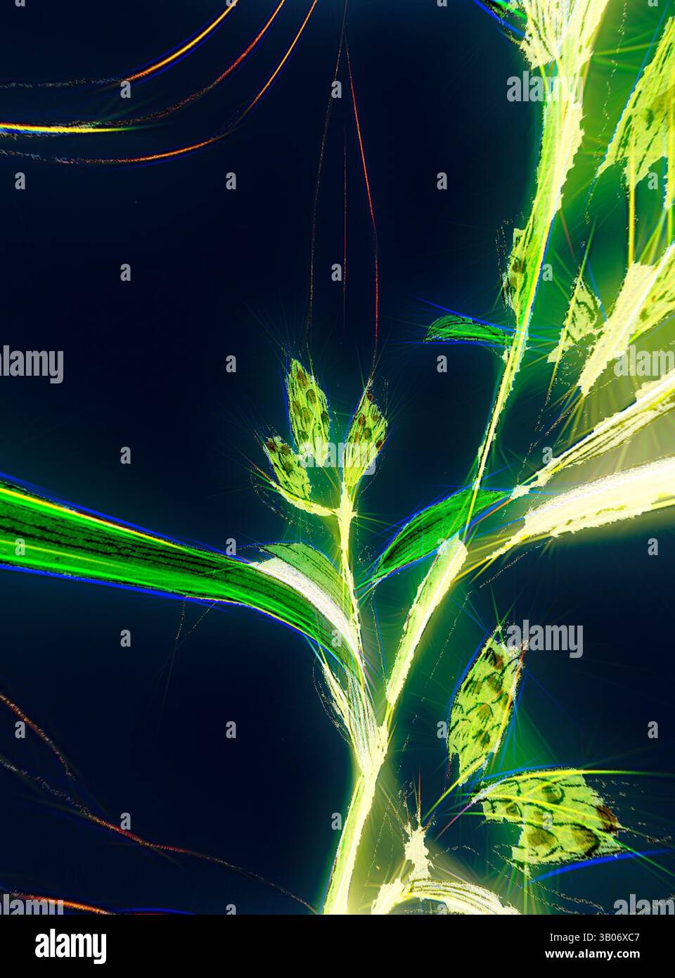 Featuring upright branches hi-res stock photography and images - Alamy