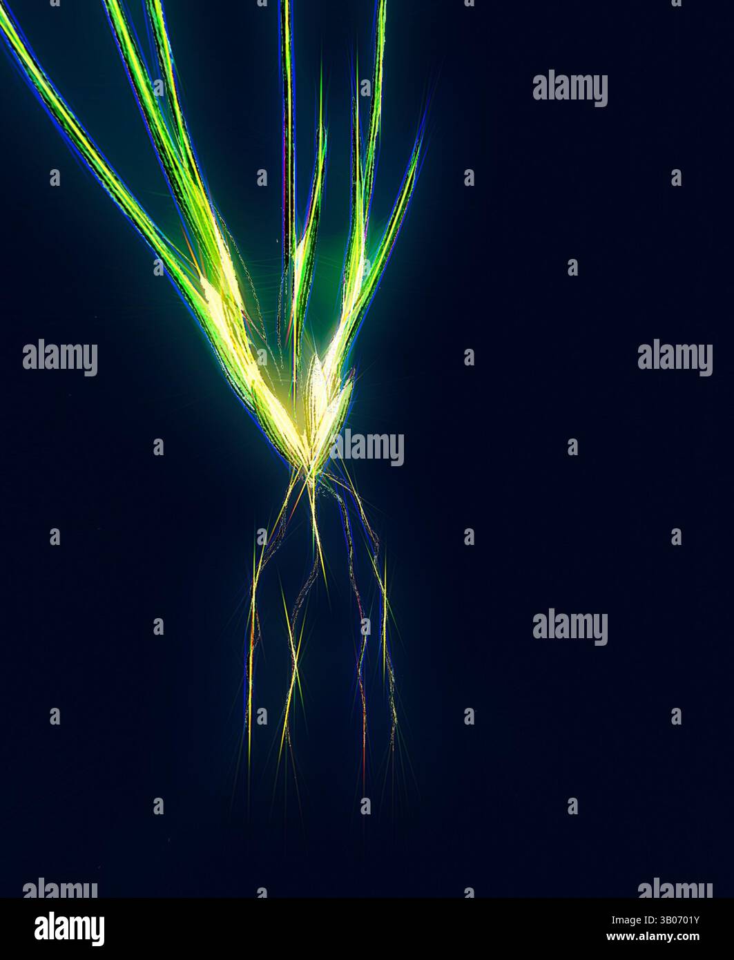 Luminous green strands emerging hi-res stock photography and images - Alamy