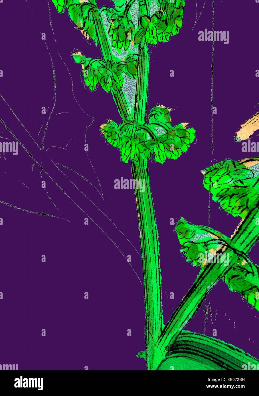 A vibrant plant stem showcases lush green leaves and intricate details ...
