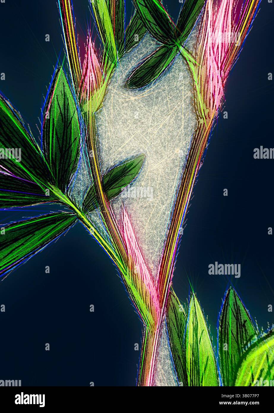 Juxtaposition of natural shapes hi-res stock photography and images - Alamy