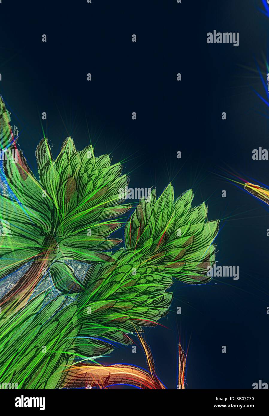 An intricate close-up reveals a cluster of vibrant green plant ...