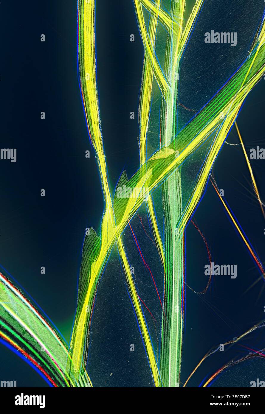 A vibrant interplay of green plant structures intertwined with hints of ...