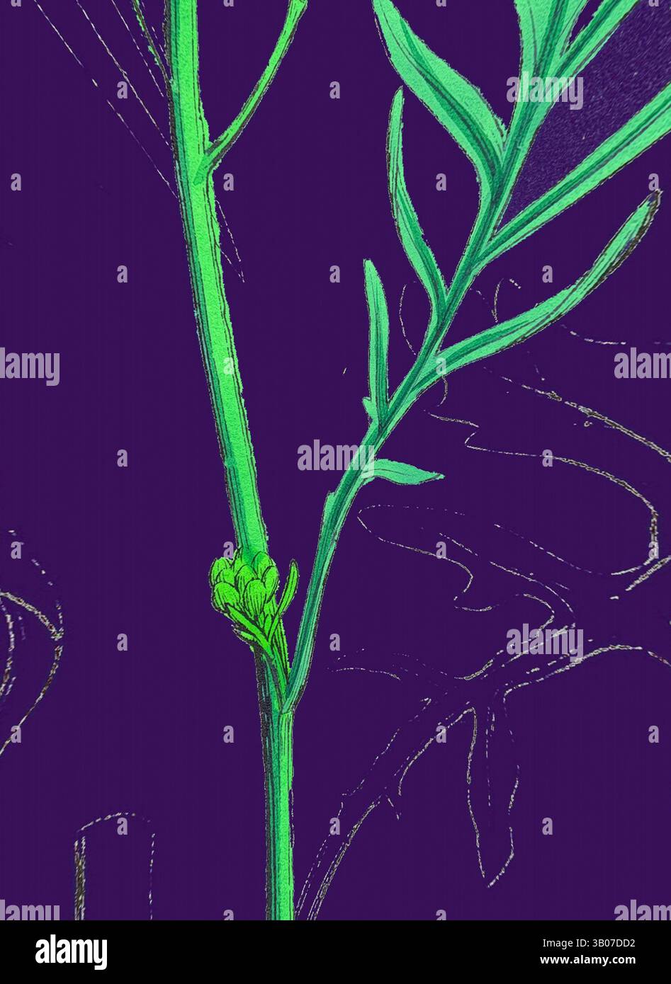 Elegantly curving hi-res stock photography and images - Alamy