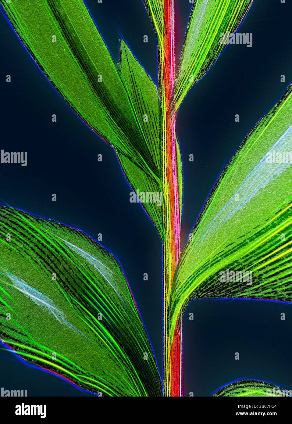 A close-up view of a vibrant green plant stem, showcasing detailed ...