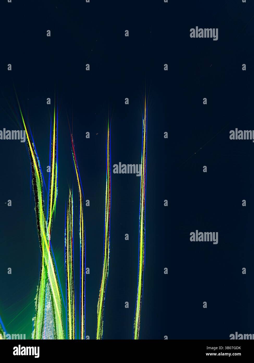 A vibrant display of elongated, colorful lines stretches vertically ...