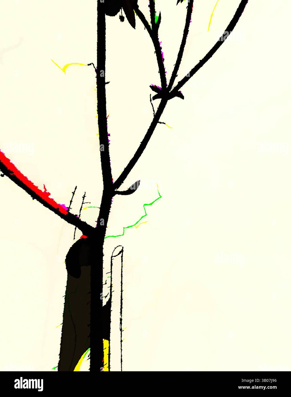 A stylized depiction of a tree branch with slender twigs reaching ...