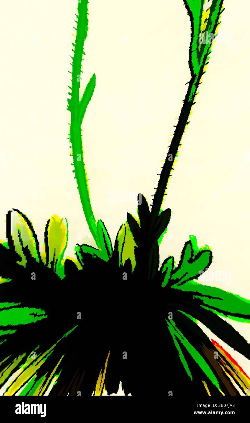 Close up view of vibrant green plant shoots emerging hi-res stock ...