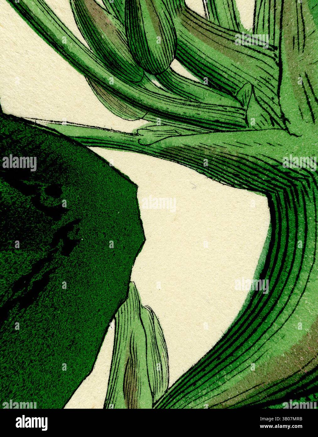 A detailed close-up of intertwining green plant limbs, showcasing their ...