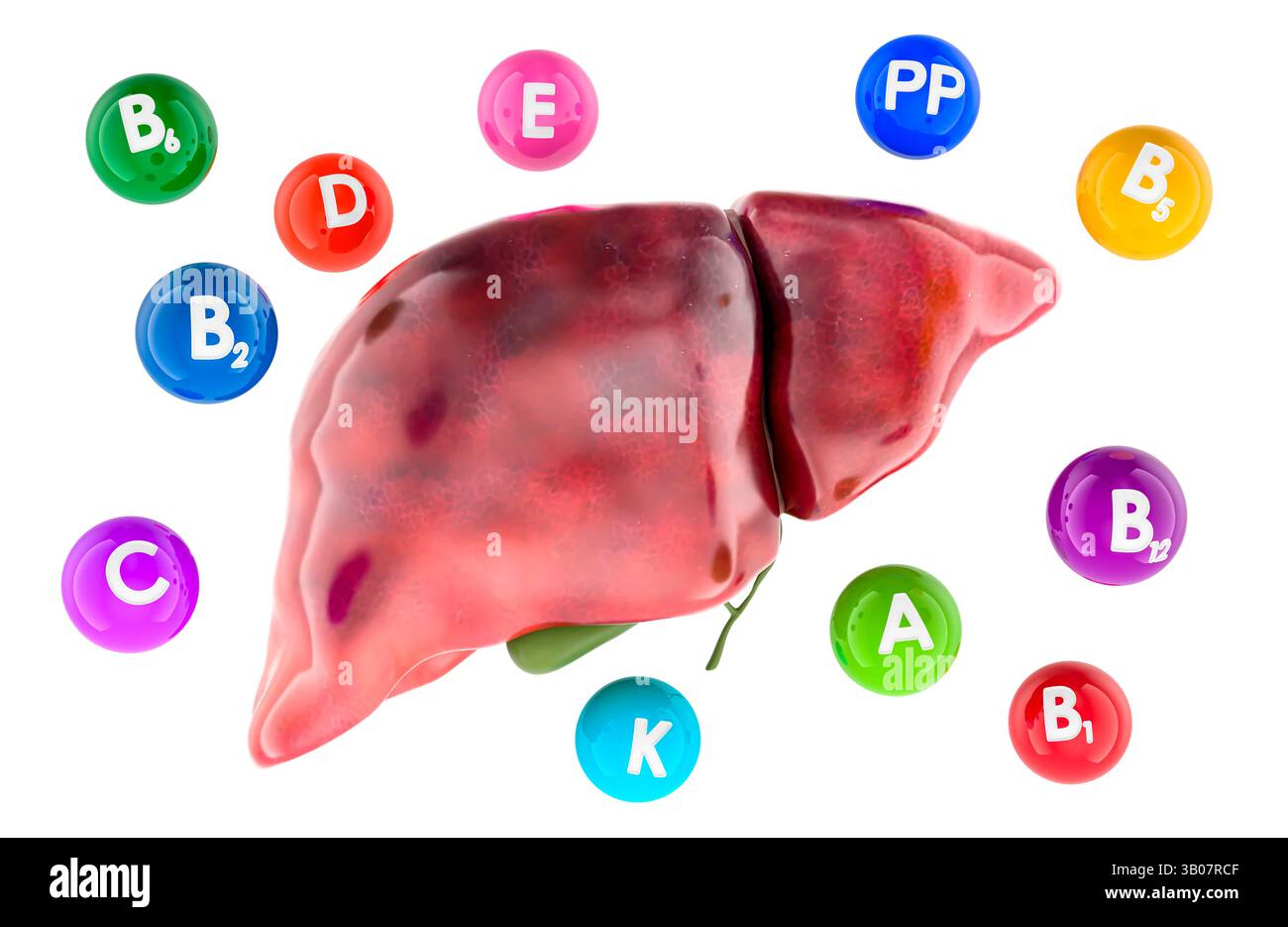 Human liver with different vitamins. Vitamins for liver health, concept ...