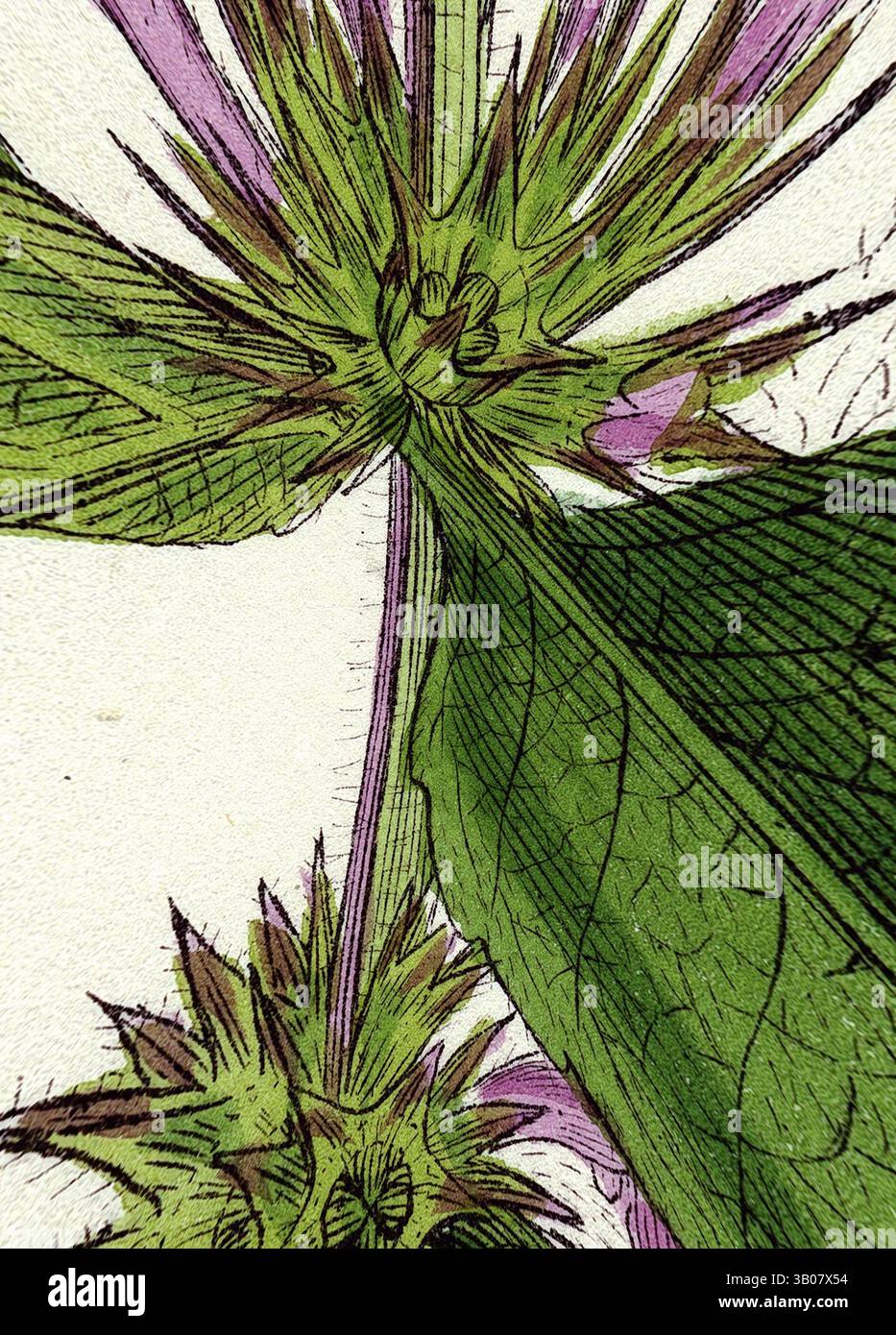 A close-up of striking botanical elements featuring vibrant green ...