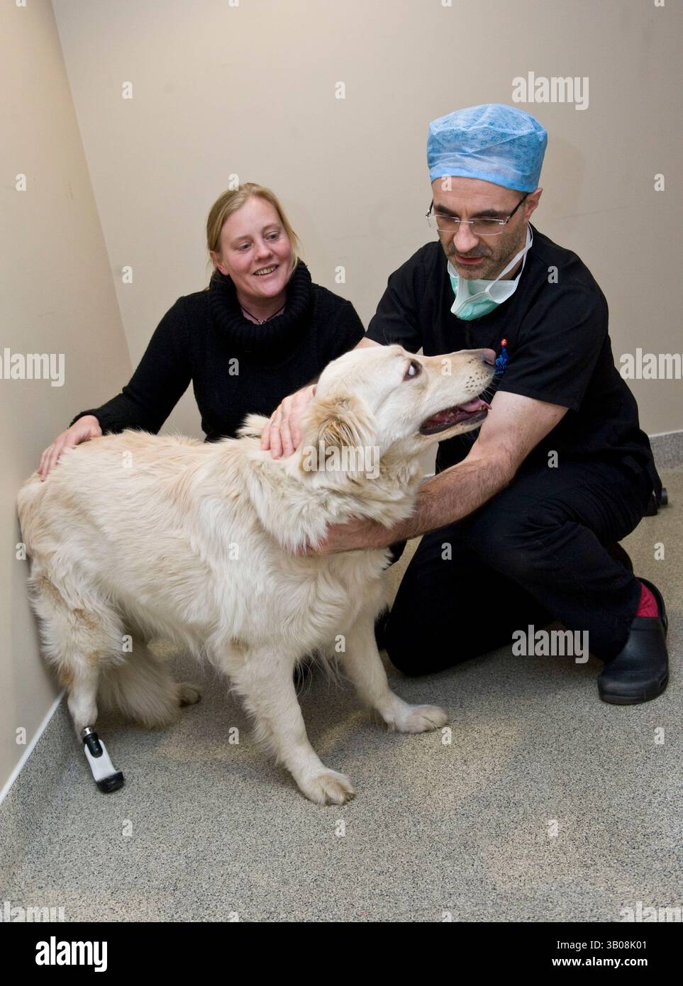 Dec 14, 2010 - Eashing , England, United Kingdom - MITZI, a 3 year old ...