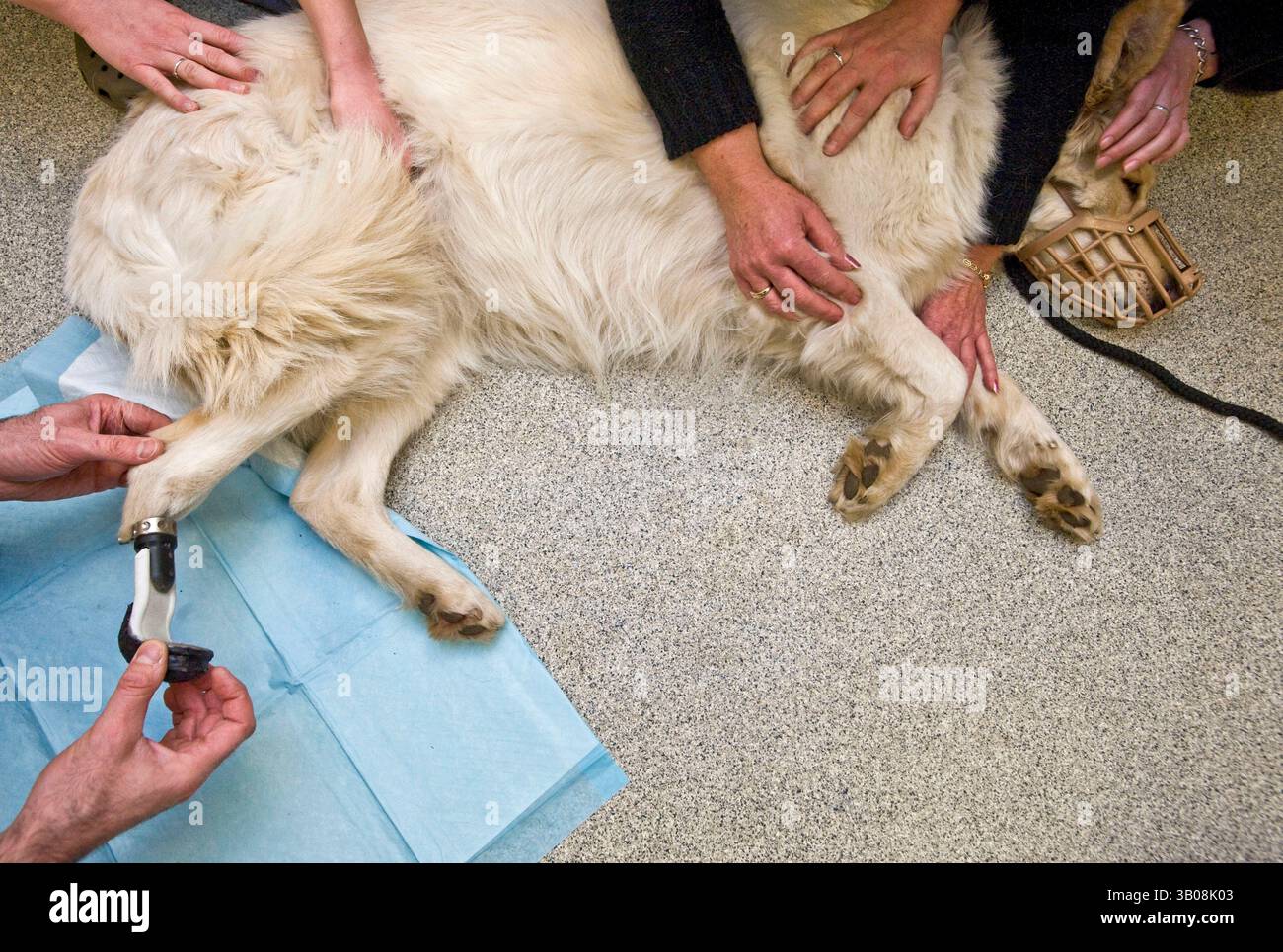 Process simulation on mechanism hi-res stock photography and images - Alamy