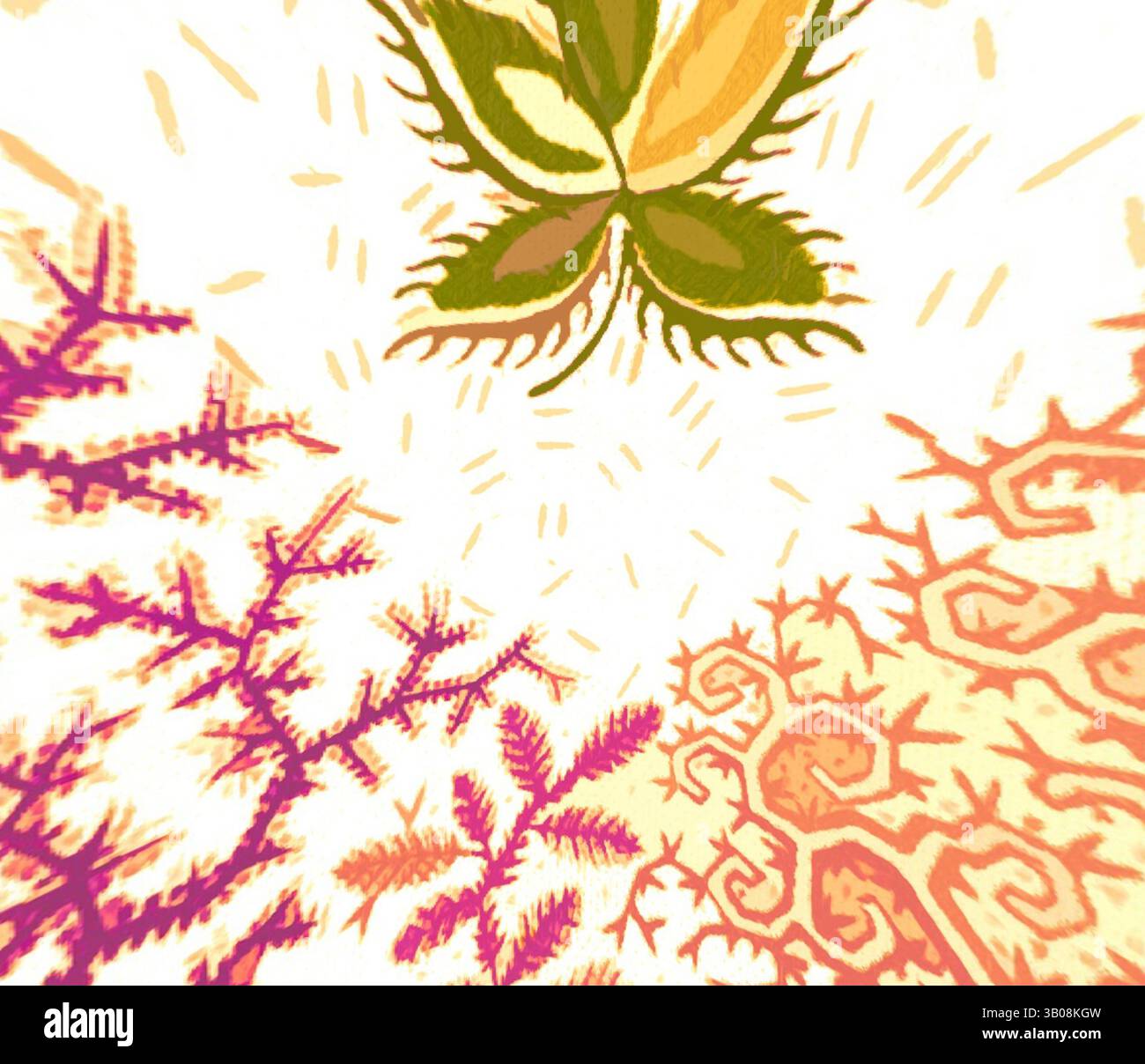 Burst of vibrant natural motifs creates hi-res stock photography and ...