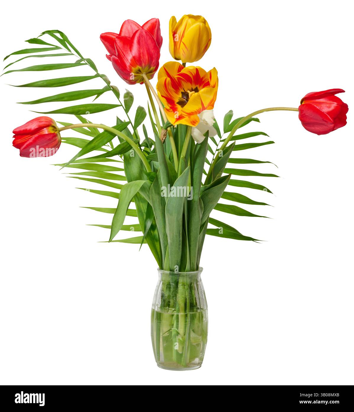 Yellow flower in palm Cut Out Stock Images & Pictures - Alamy