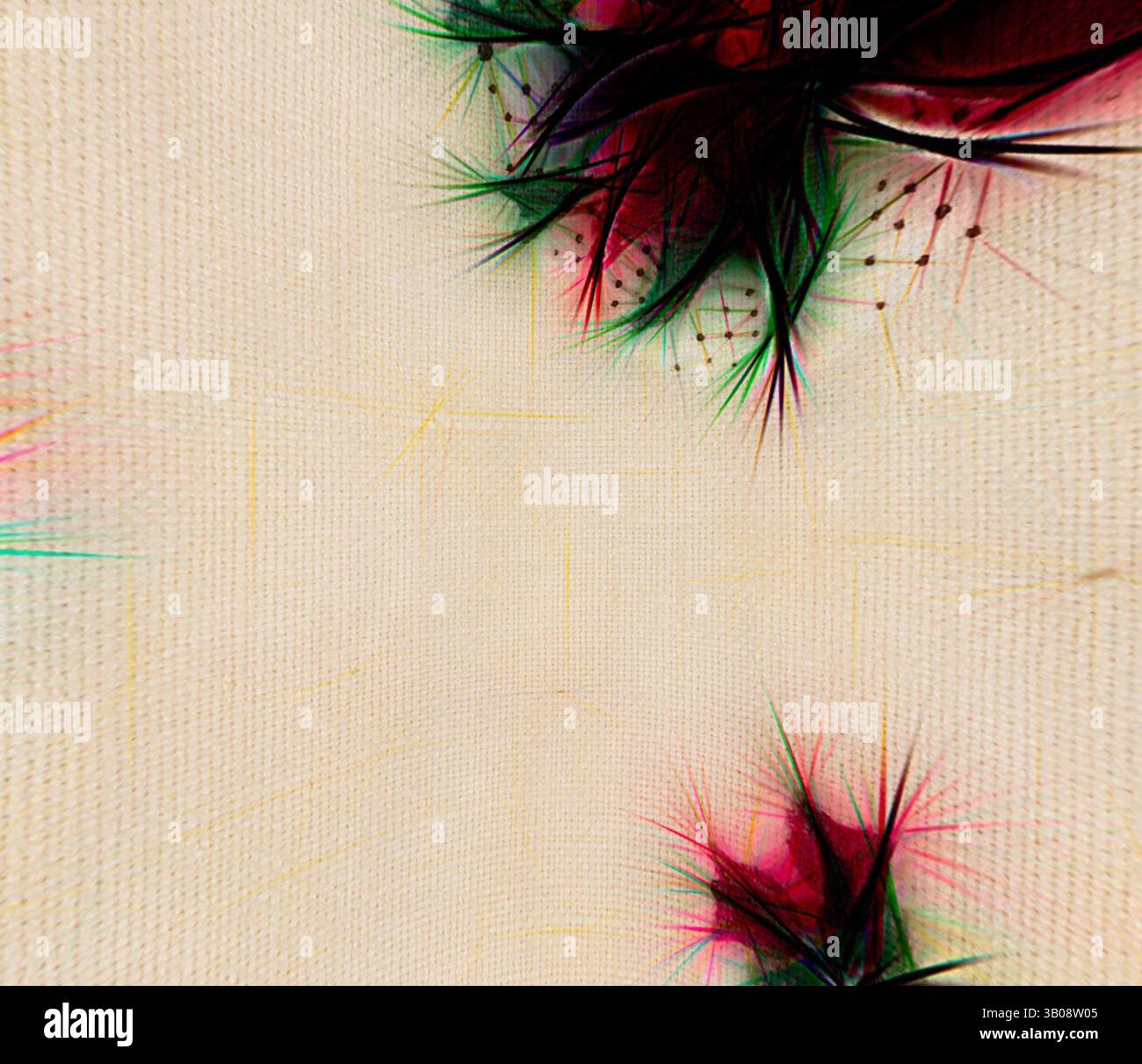 An abstract composition featuring vibrant bursts of color and intricate, feathery textures ...