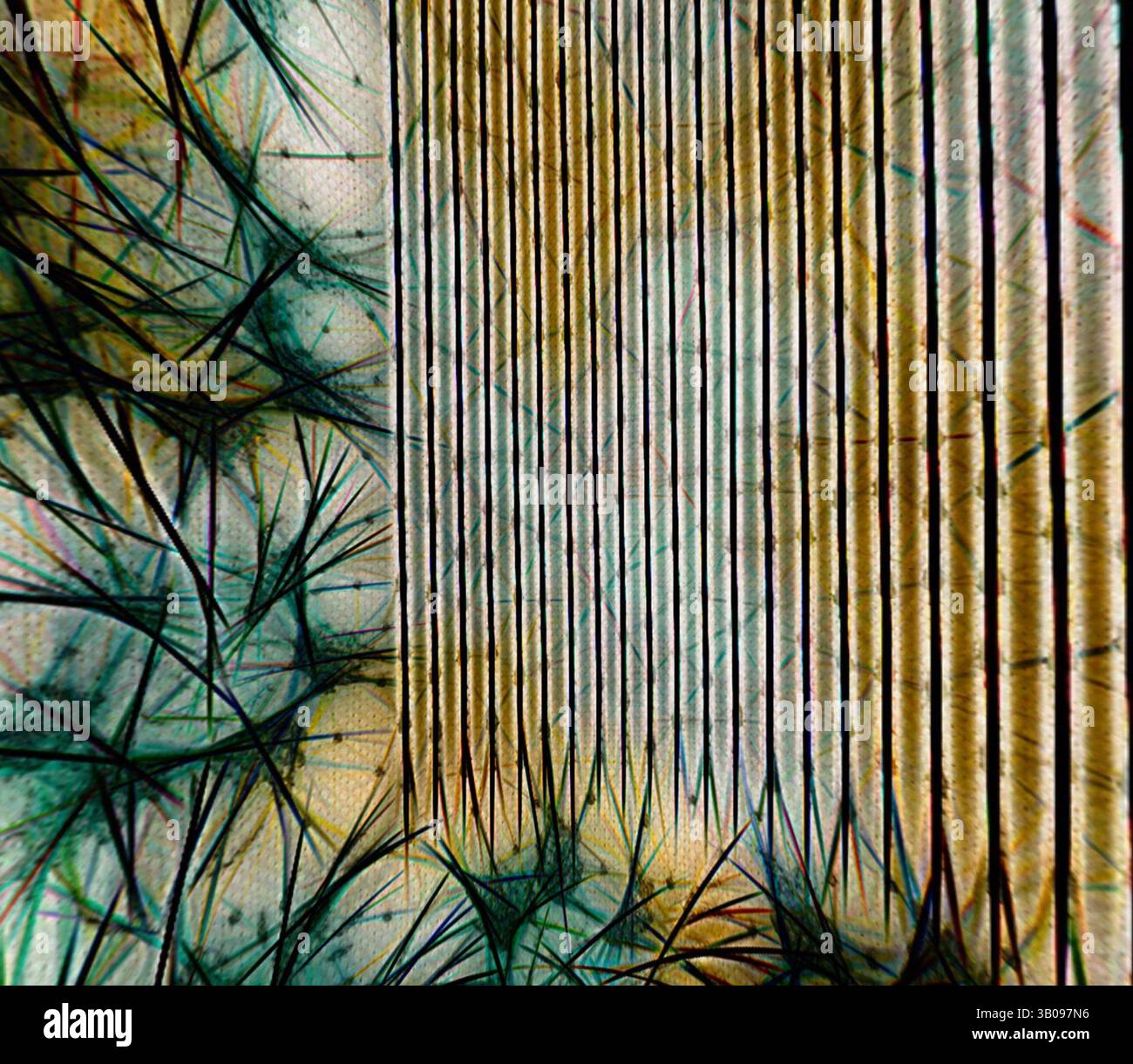 Intricate fractal patterns display hi-res stock photography and images ...