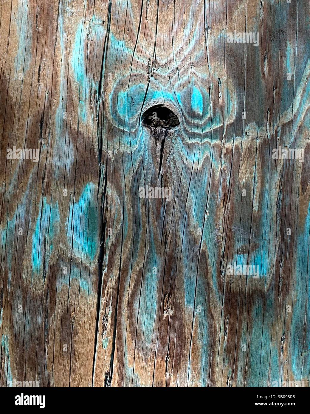 Blue-green patterns of knots and growth rings in a wood pillar treated ...