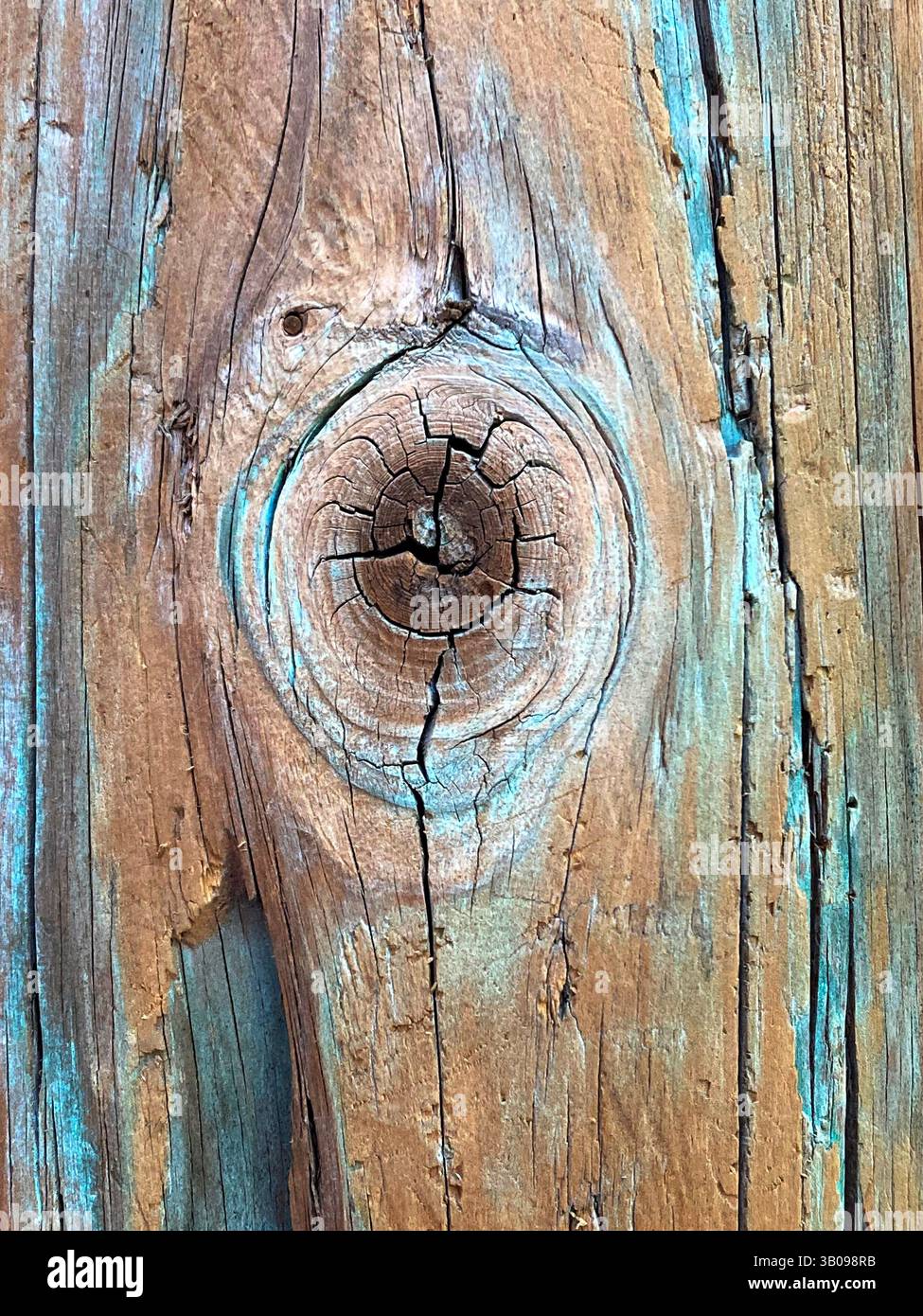 Blue-green patterns of knots and growth rings in a wood pillar treated ...