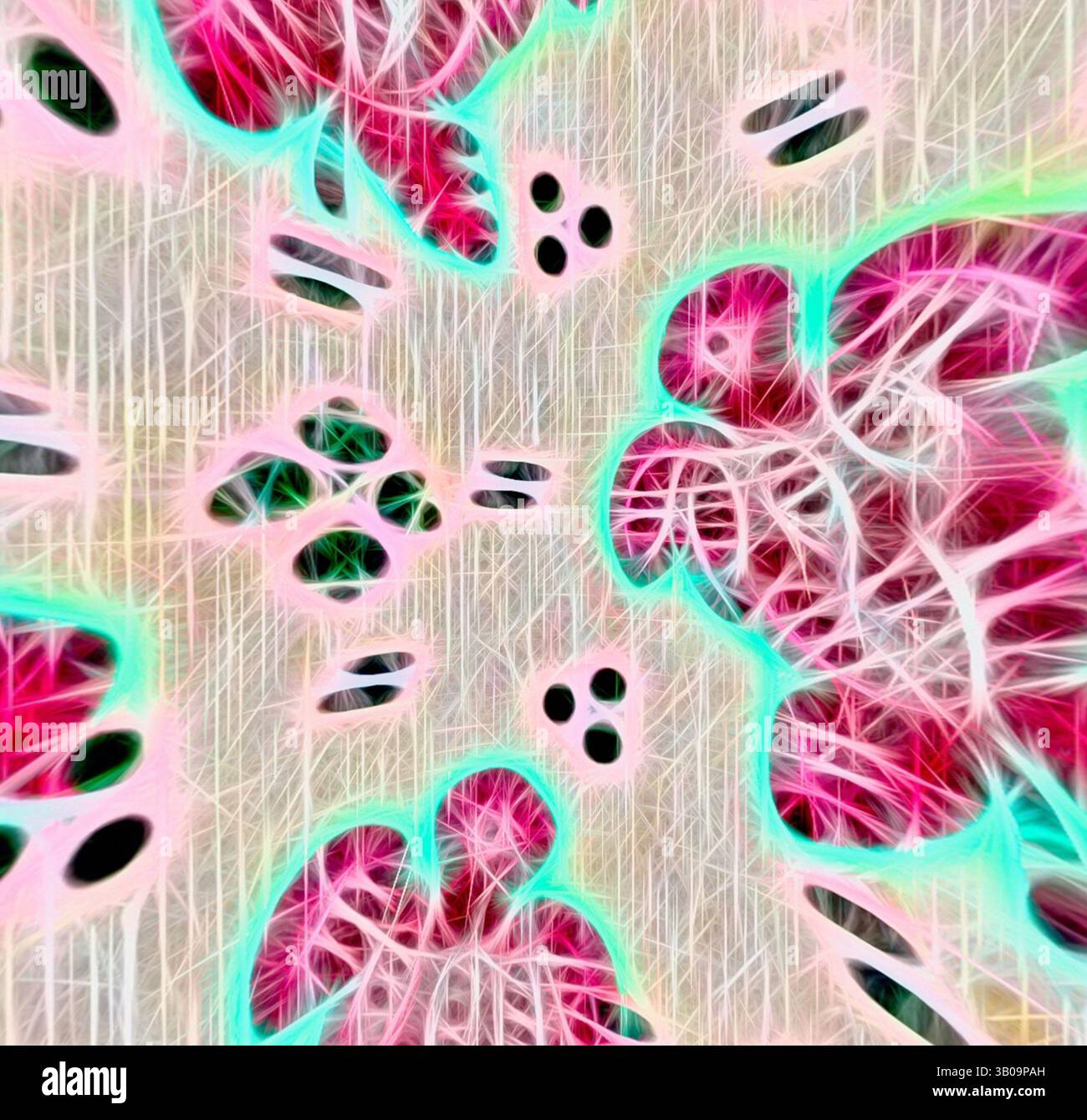 Circular pattern of stylized turtles hi-res stock photography and ...