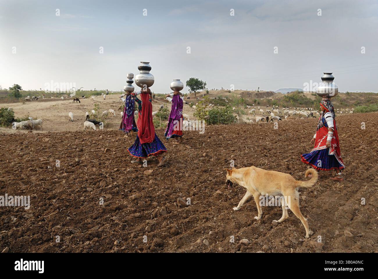 Indian people mandu india hi-res stock photography and images - Alamy