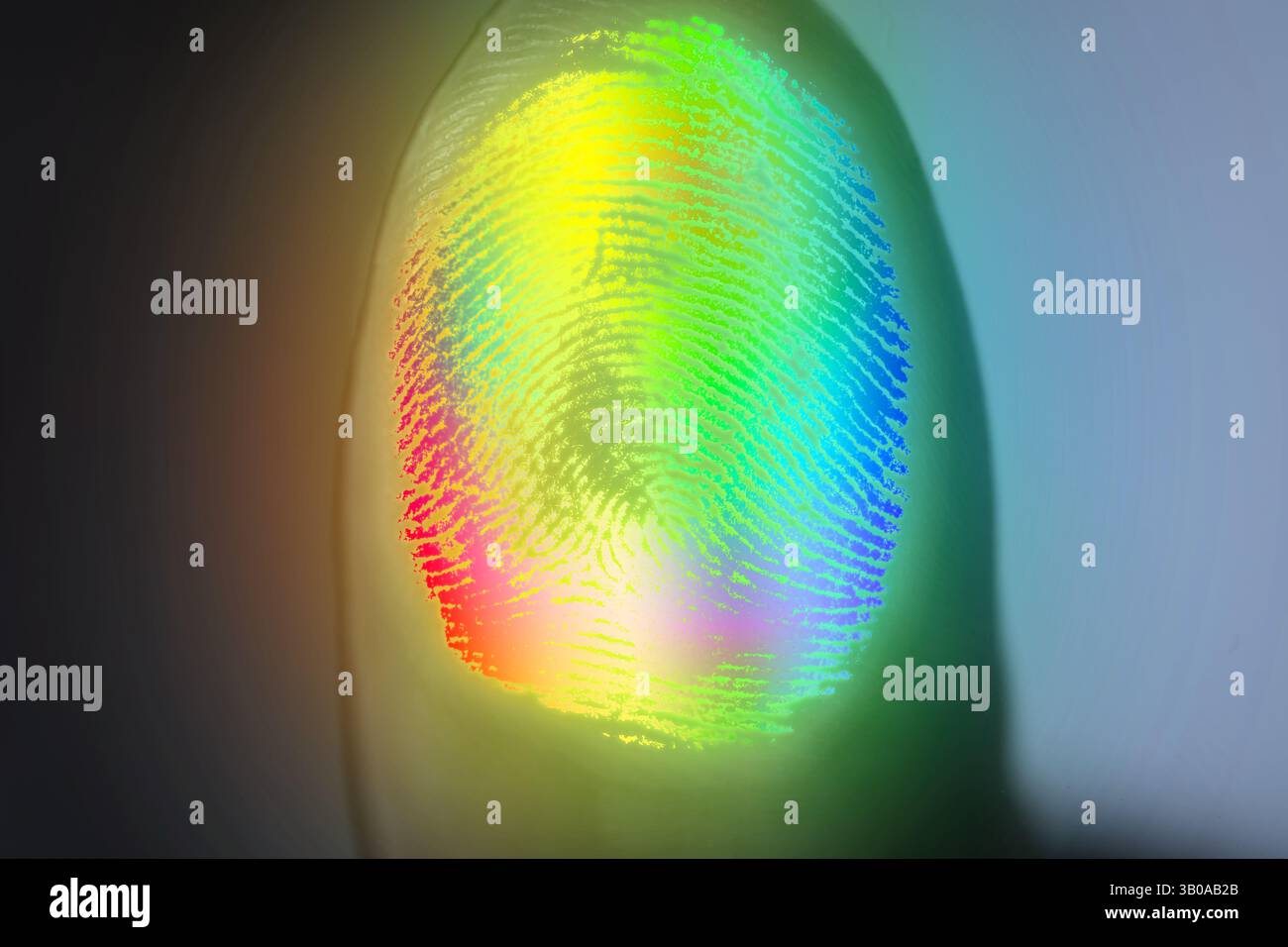 Colorful fingerprint remaining on surface while woman pressing her ...