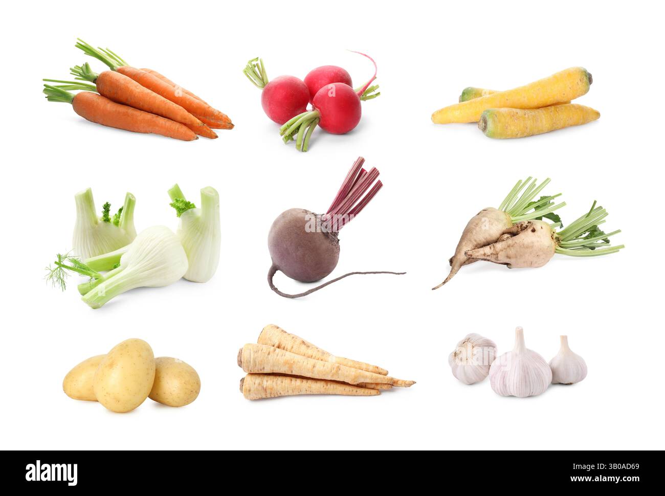 Different root vegetables isolated on white, set Stock Photo - Alamy