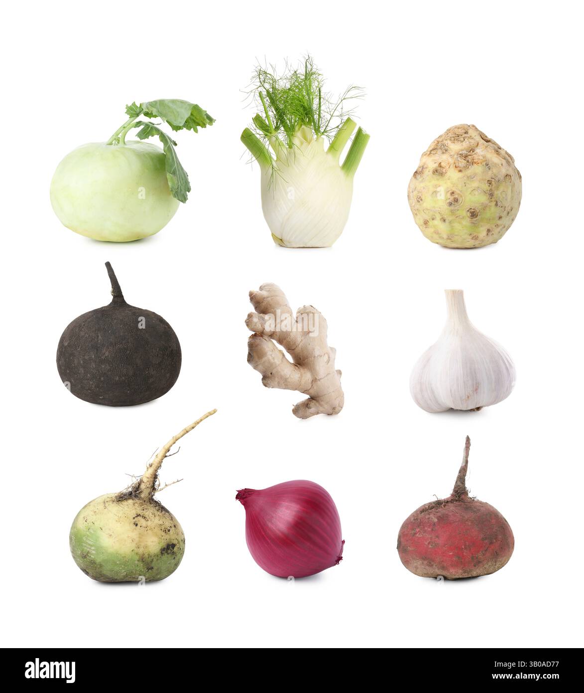 Different root vegetables isolated on white, set Stock Photo - Alamy